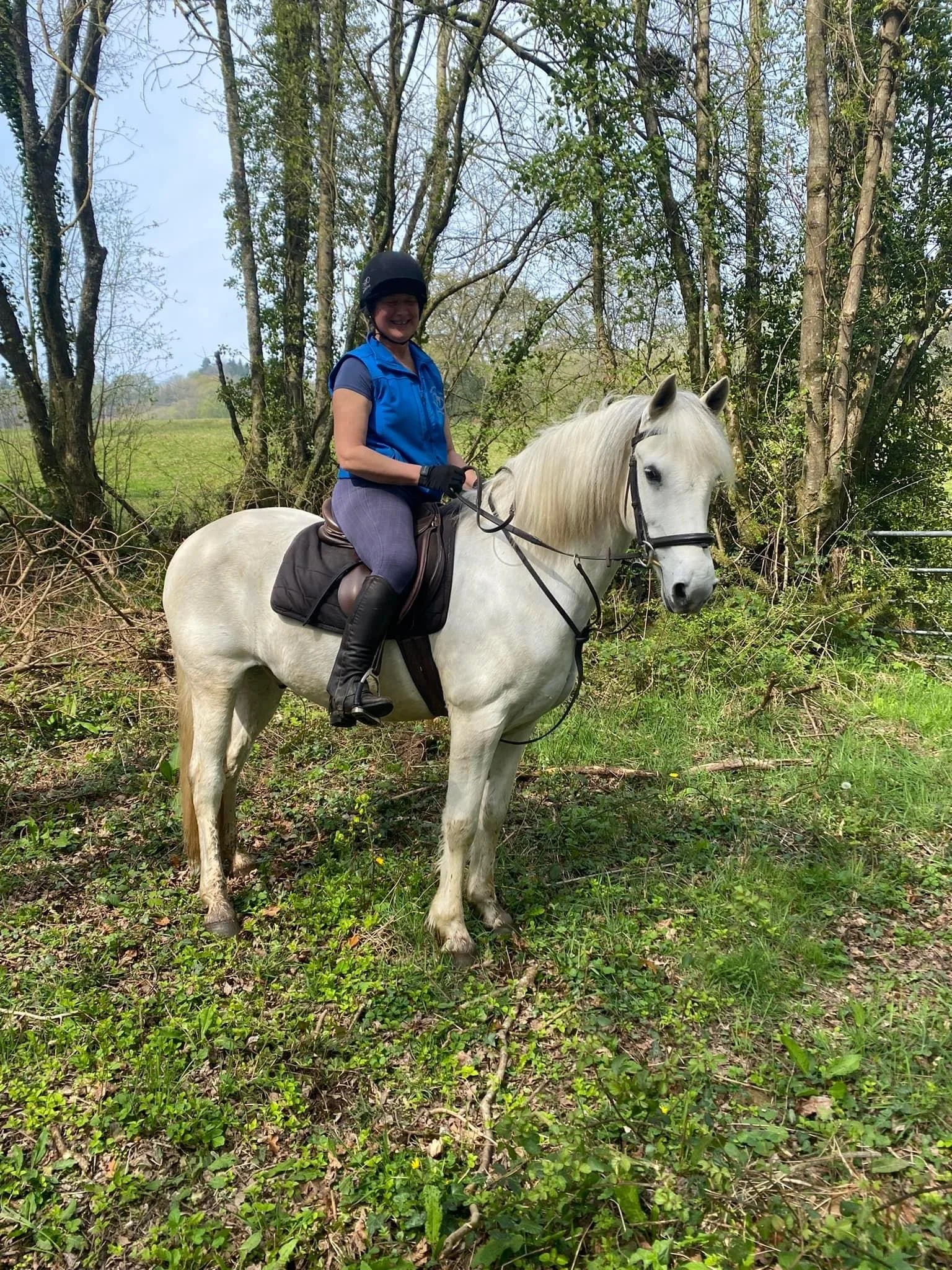 Sandford Stables horses — Sandford Stables (Prev. Woodhouse Farm Stables)