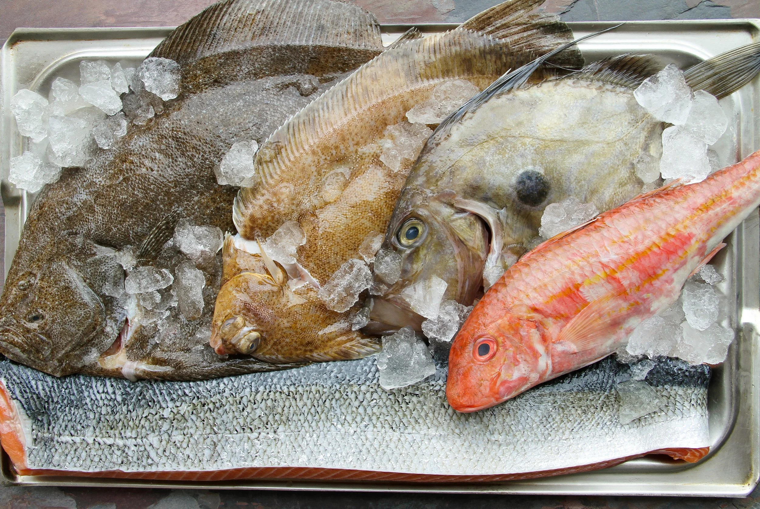 Menus — The Harbour Inn