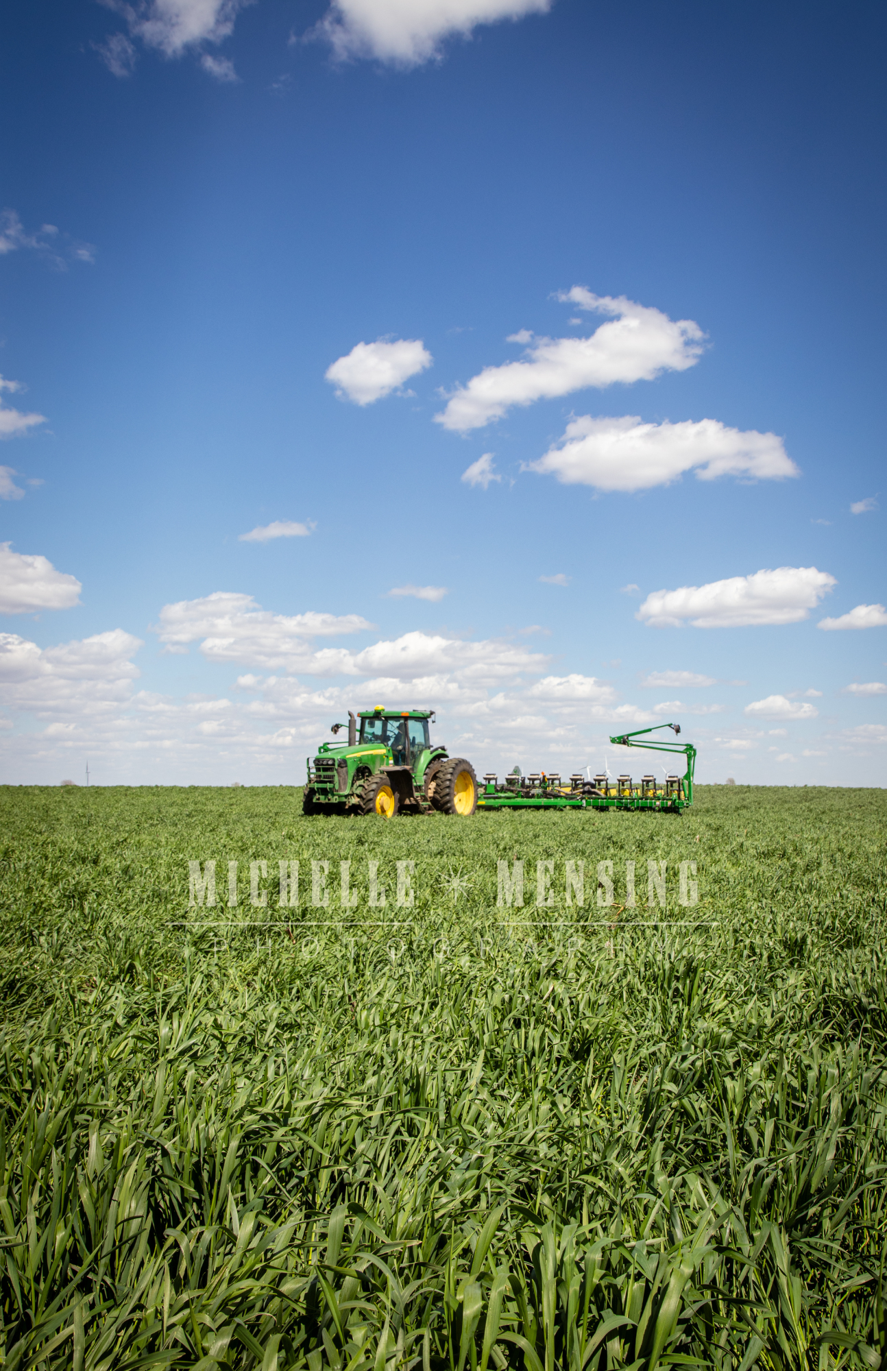 Ag Lifestyle Photoshoot | Iowa Cover Crop — Michelle Mensing Photography