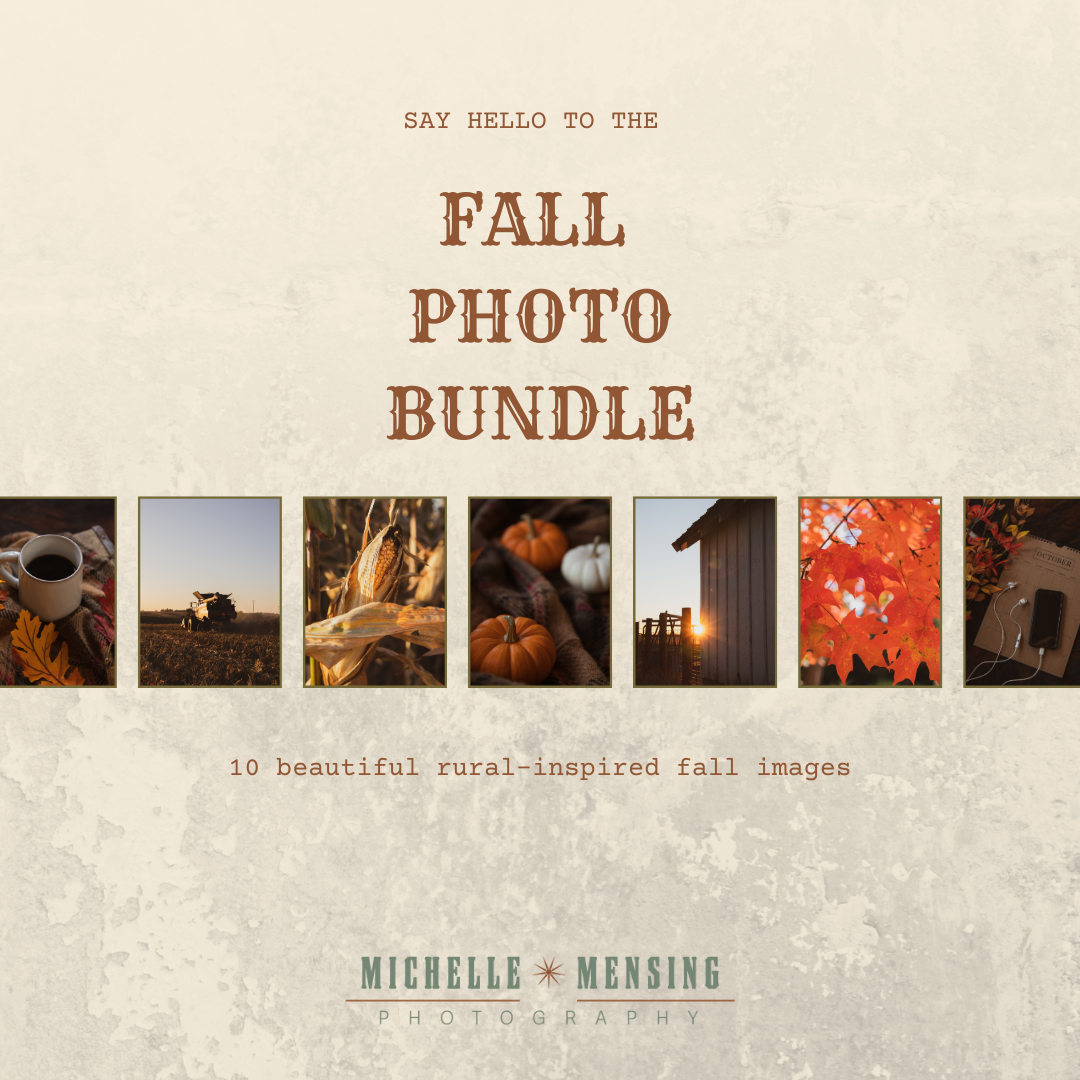 fall content creation made easy with these 10 images — Michelle Mensing ...