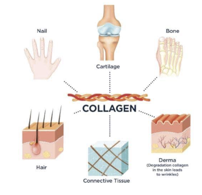 Wellness — Kate Twigg