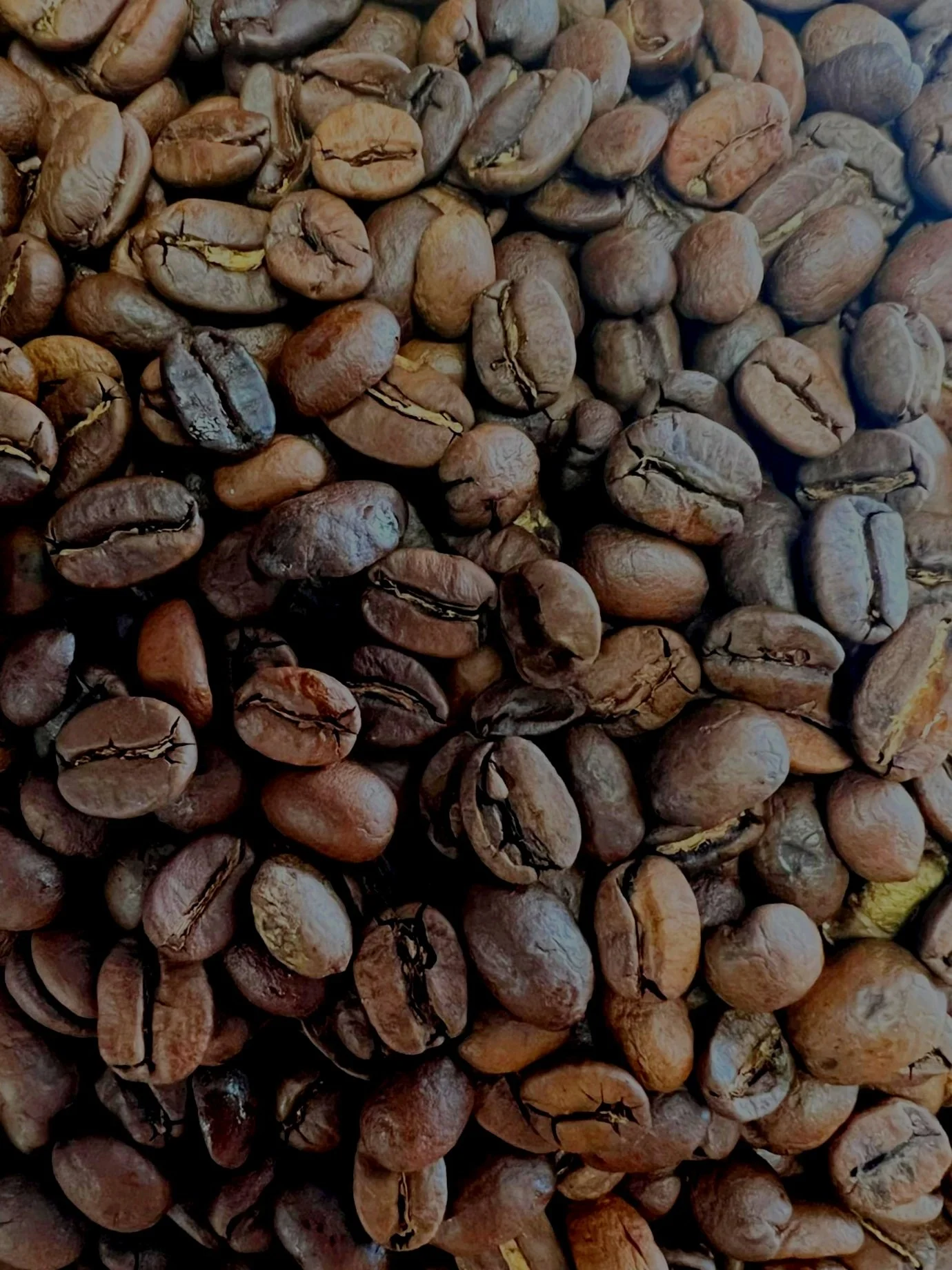 Strange Brew Coffee