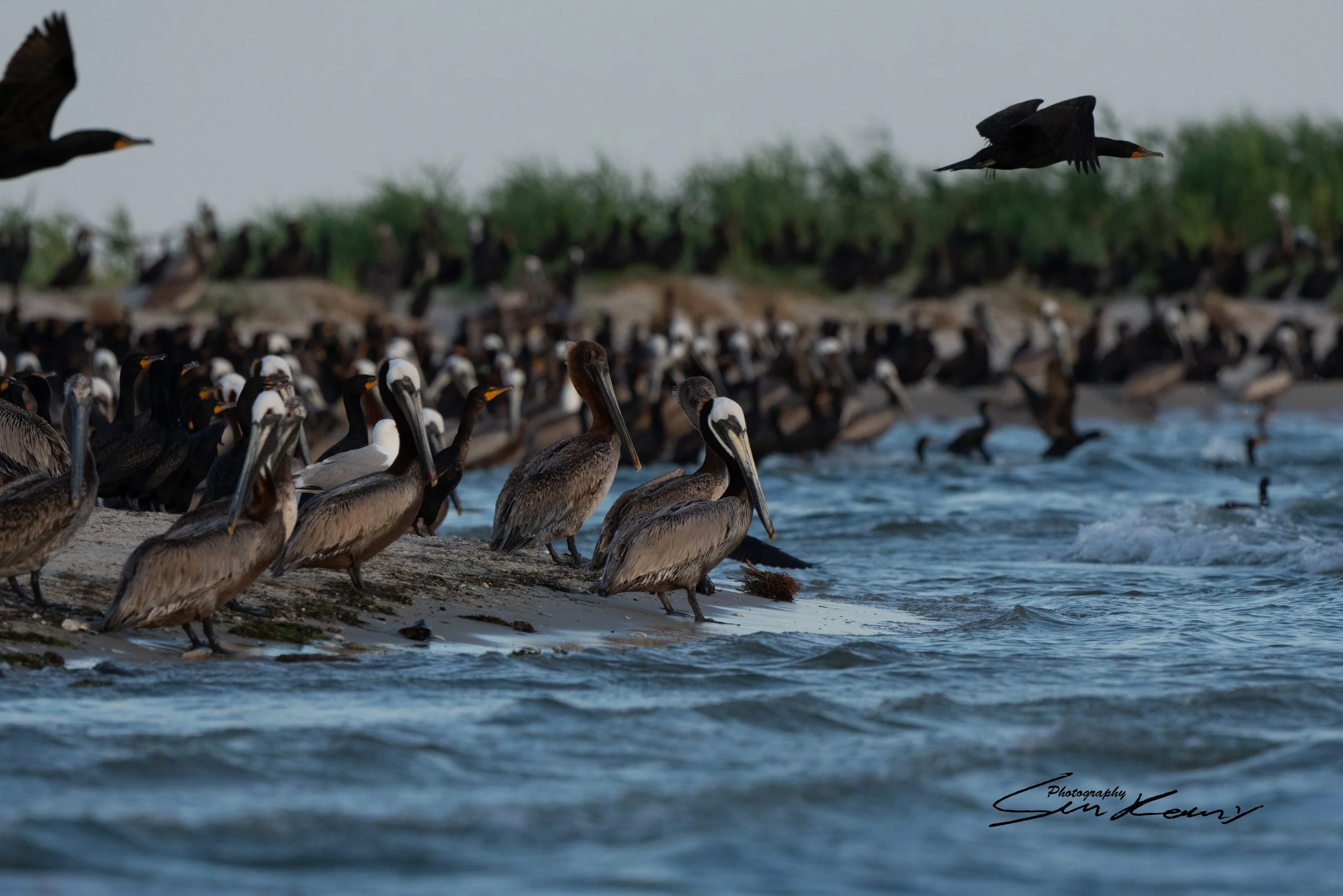 SamuelRooneyphotography