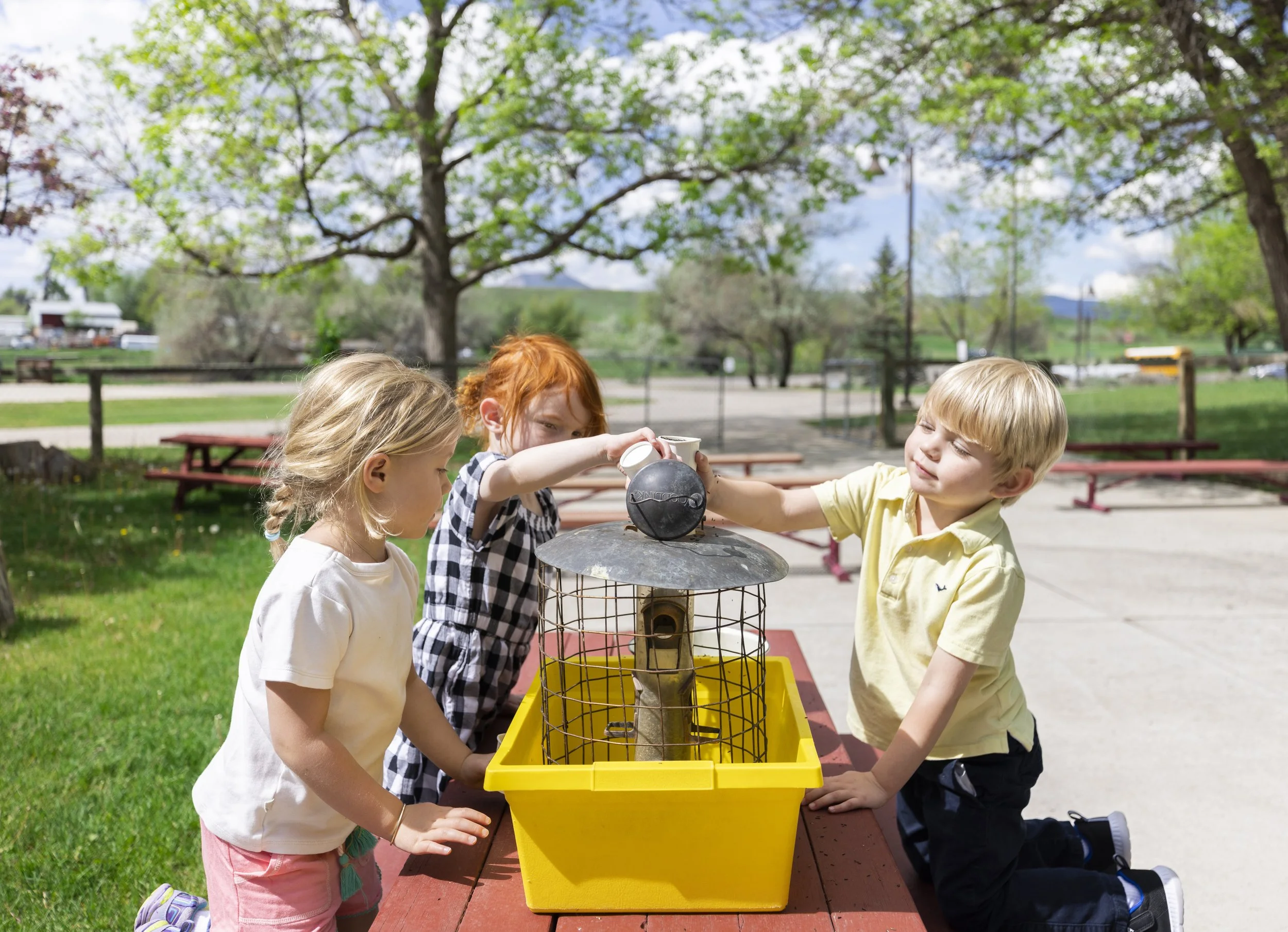 Mountain Shadows International Montessori School | Enroll Today at MSIMS