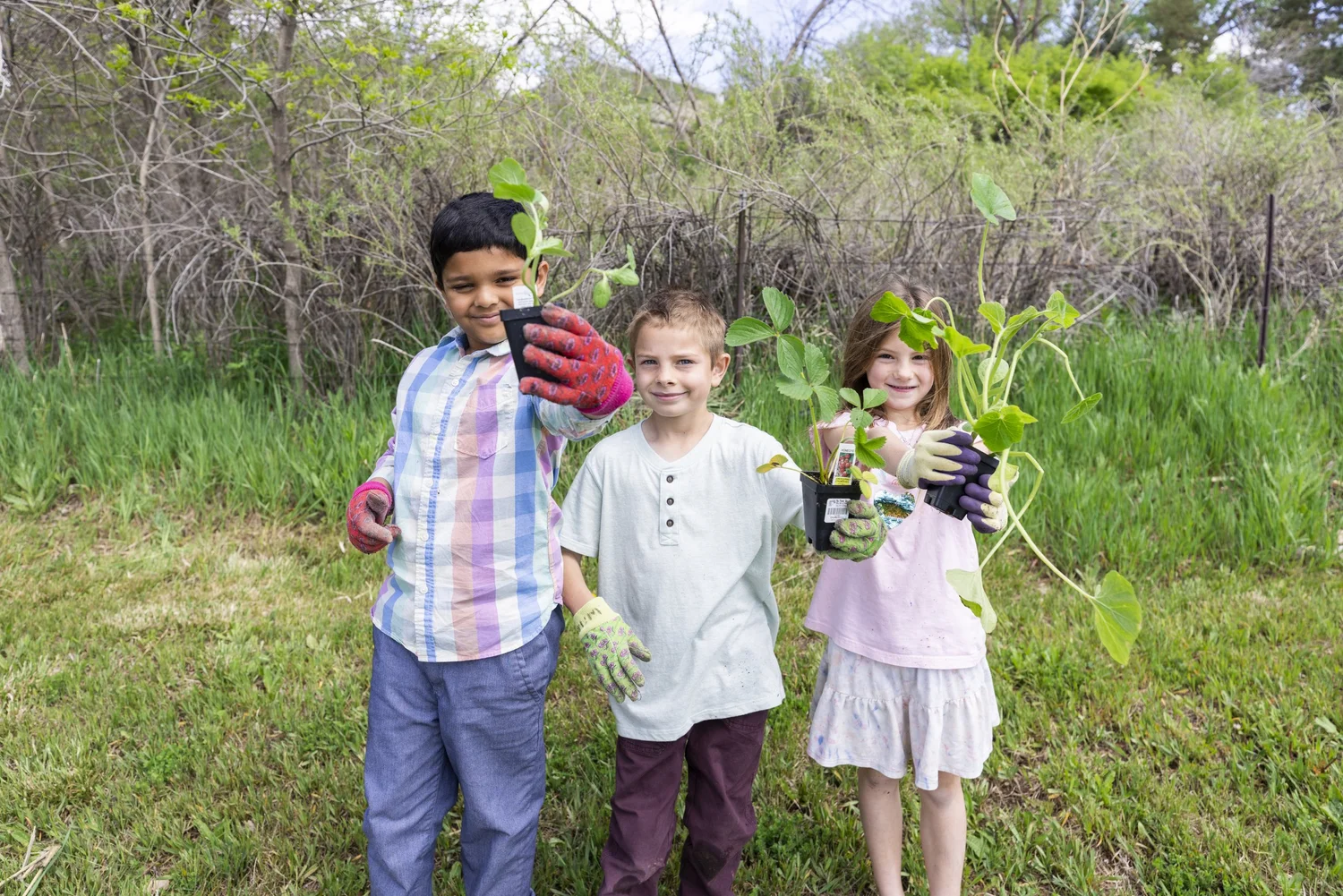 Summer Camp in Boulder, Colorado — Mountain Shadows International ...