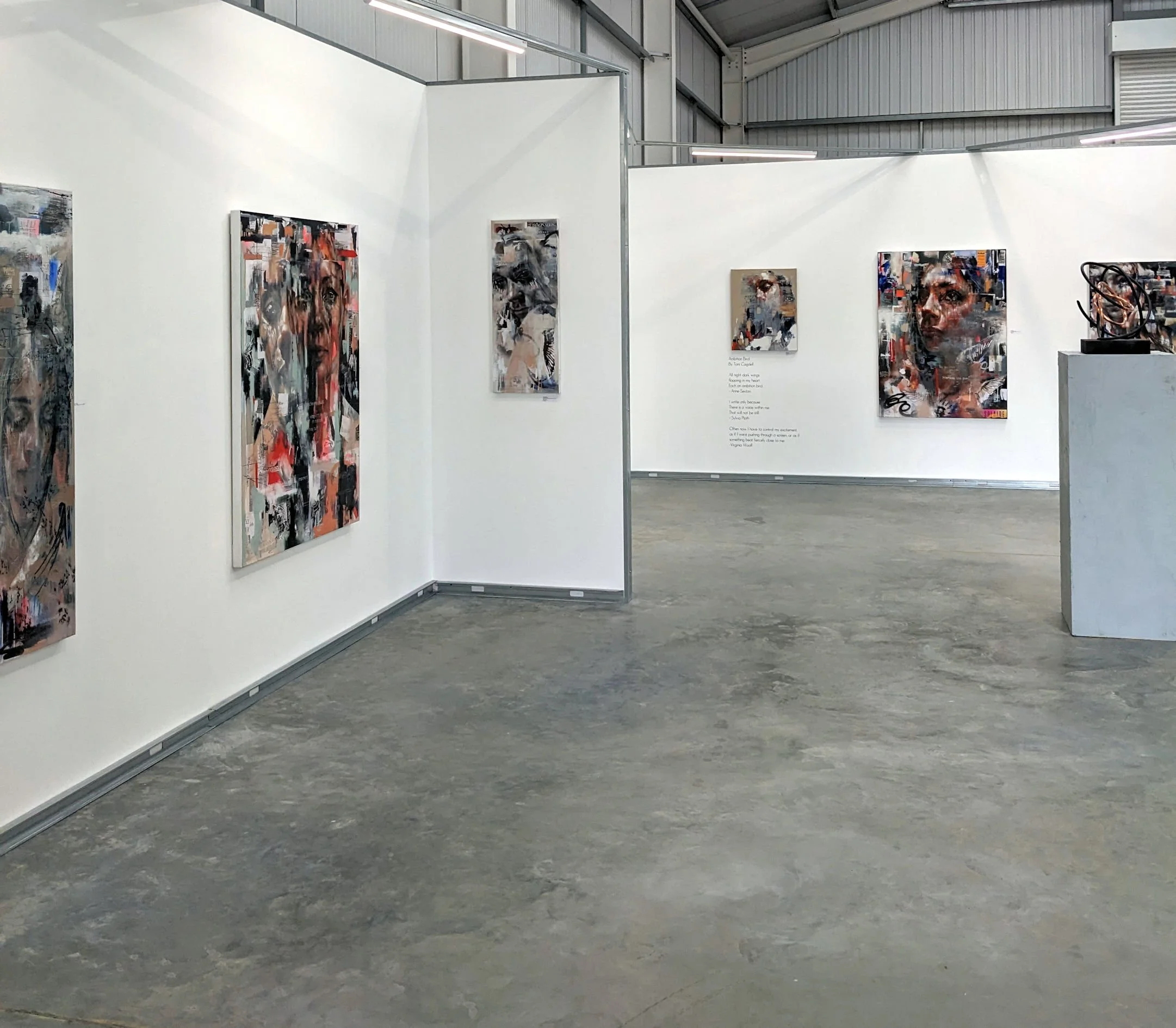 Exhibitions — Toni Cogdell