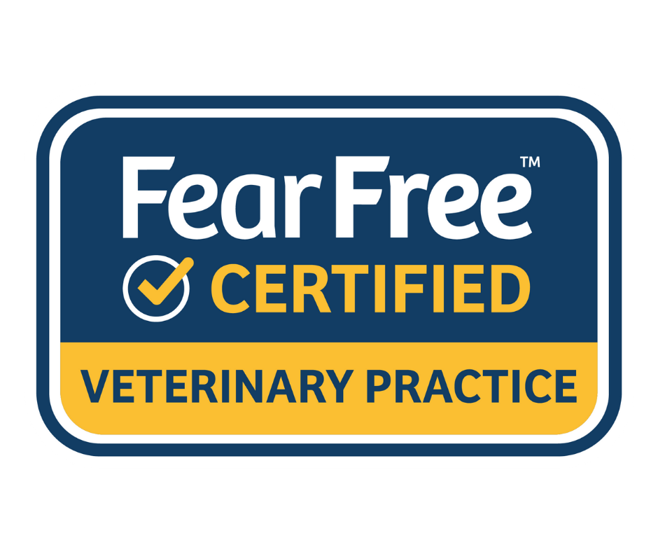 Victoria's only Fear Free Certified Veterinary Practice — Melbourne Dog ...