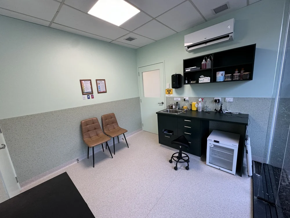Dog Consultations in a Fear Free Certified Practice — Melbourne Dog ...