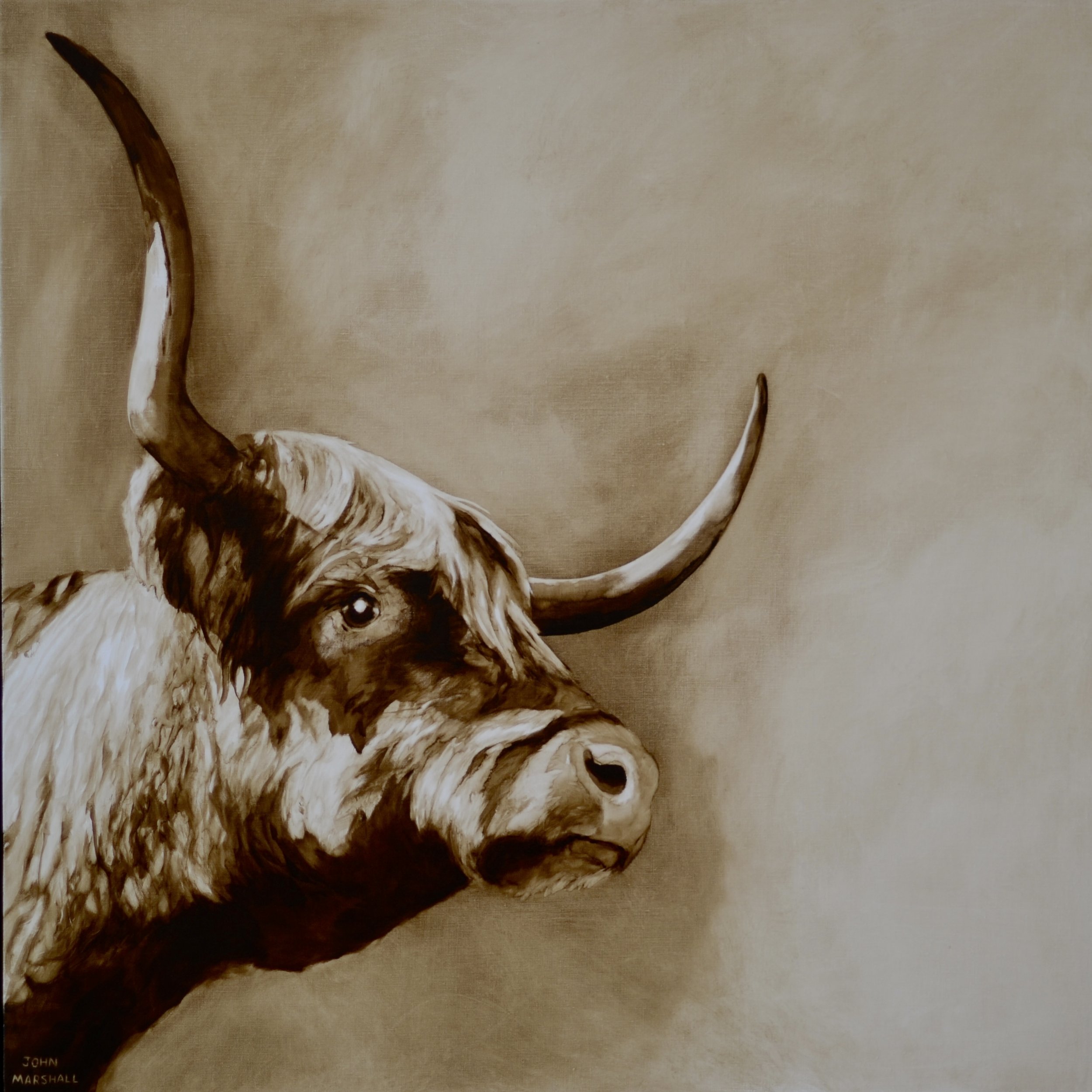 John Marshall The Cow Painter