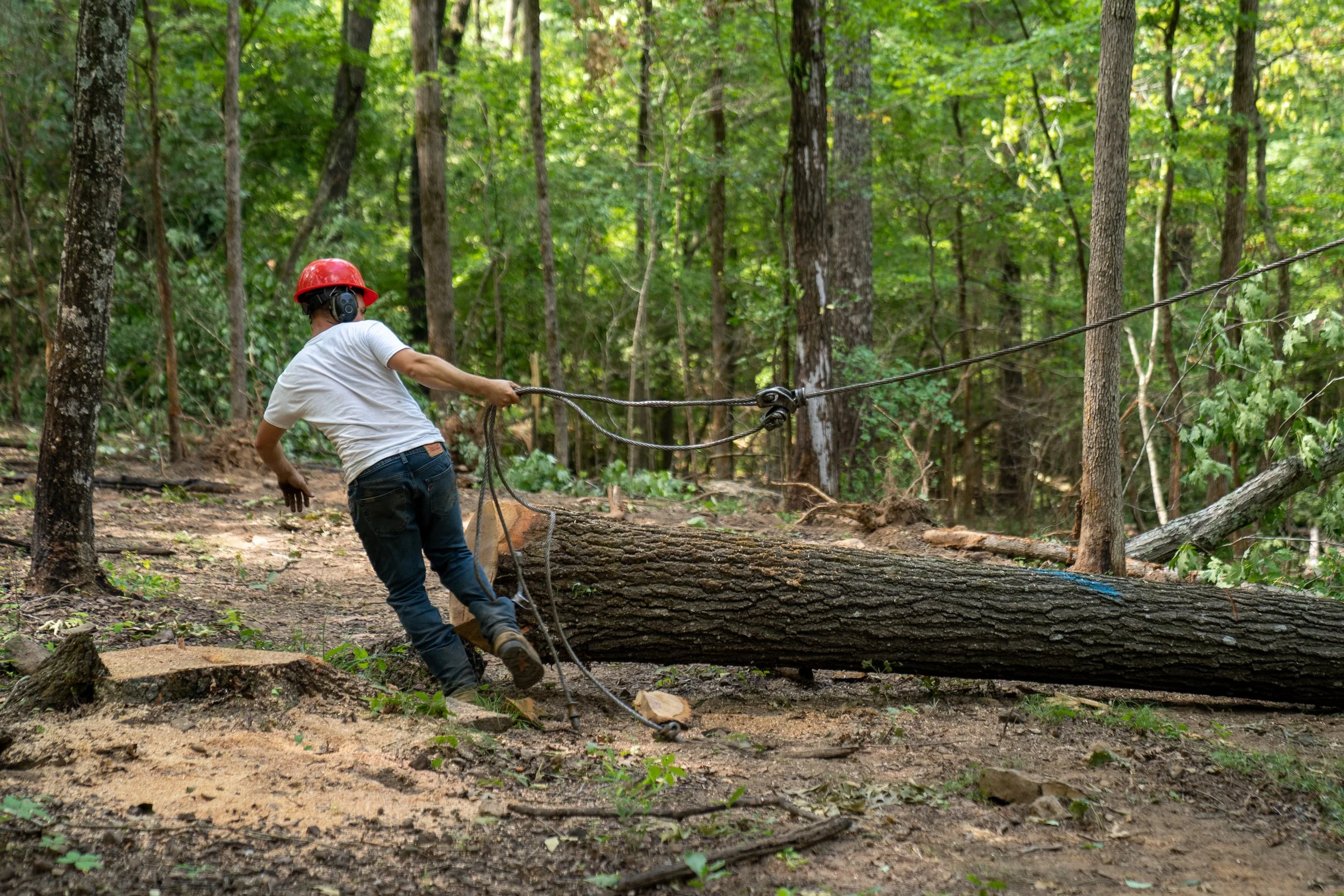 Who We Are — Pilgrim Logging, LLC