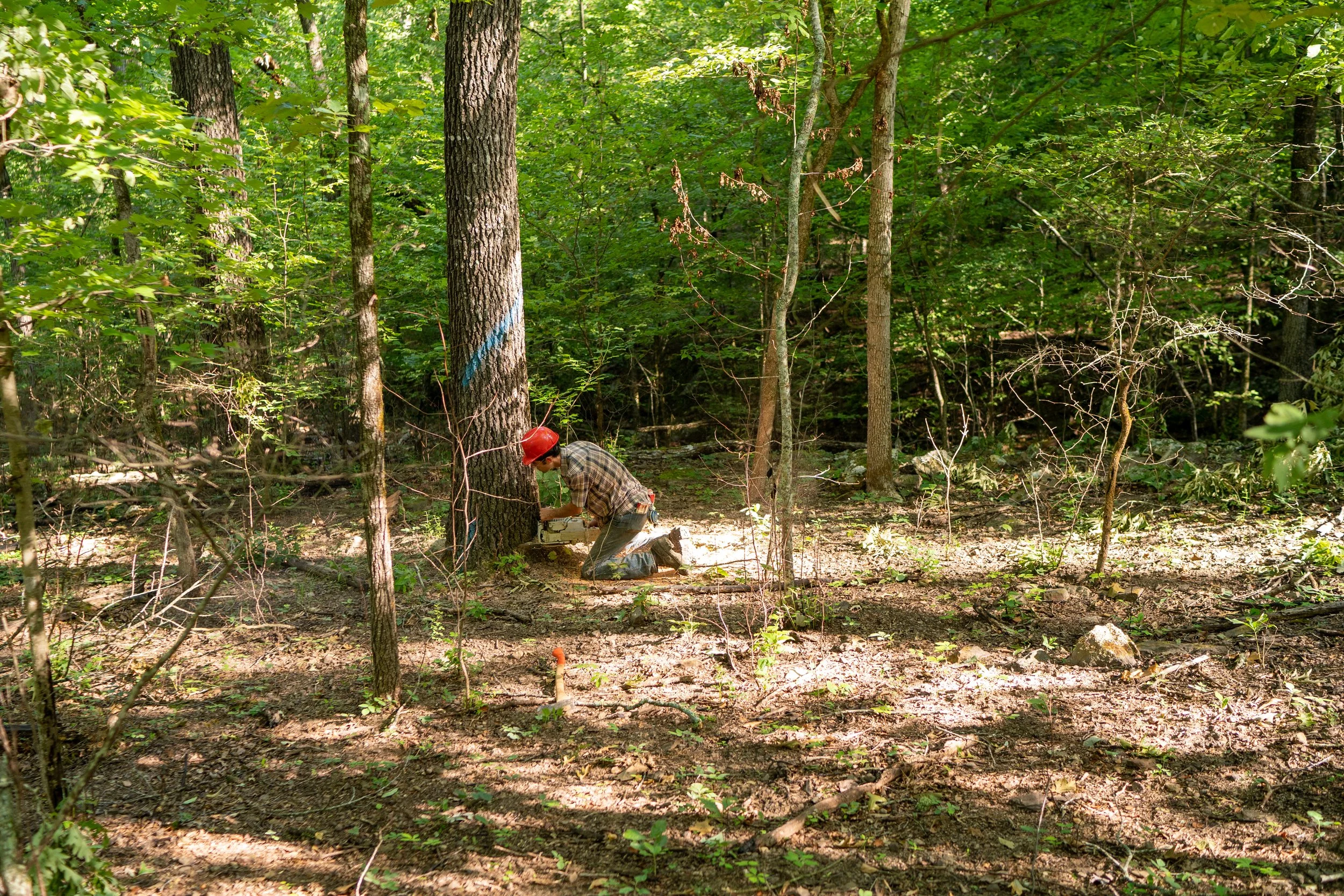 Pilgrim Logging, LLC