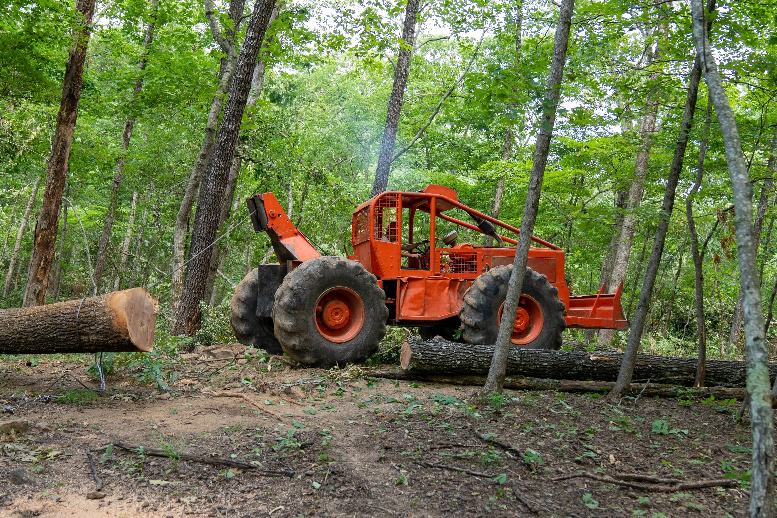 Our Process — Pilgrim Logging, LLC