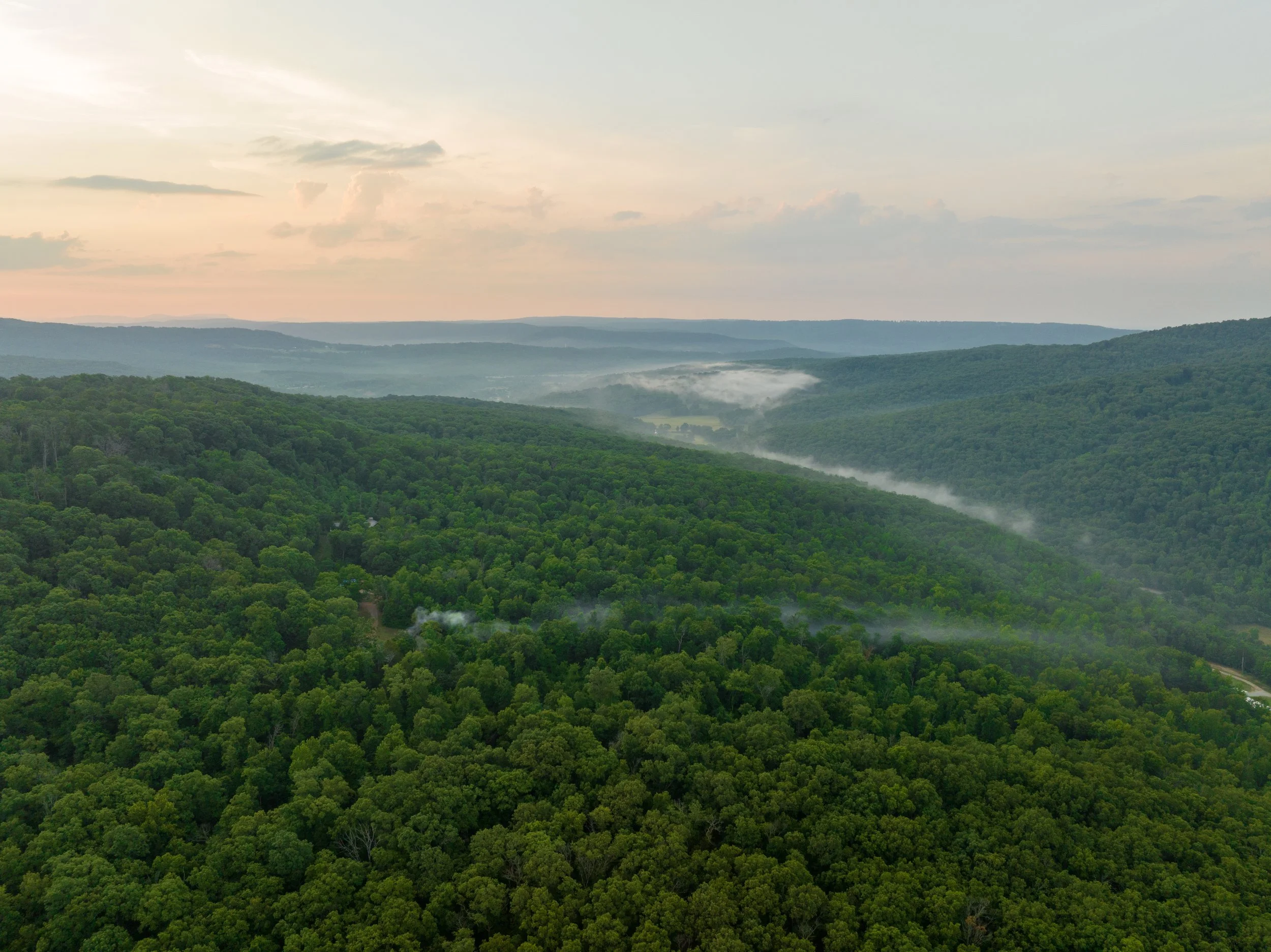 Pilgrim Logging, LLC