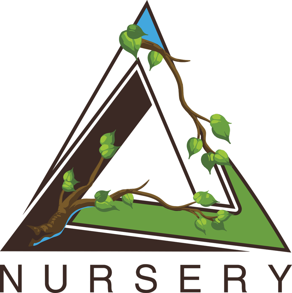 Triangle Nursery | Wholesale Plants & Trees | Shipping Nationwide