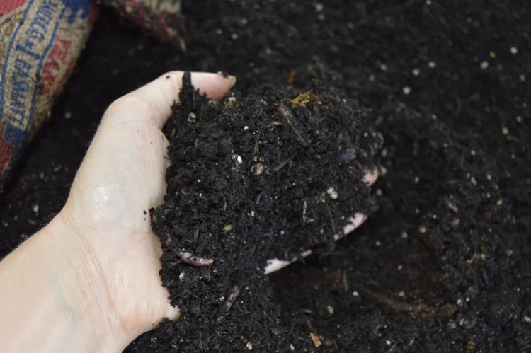 Tips for a full, lush looking Garden — Garden Unwind — Garden Unwind