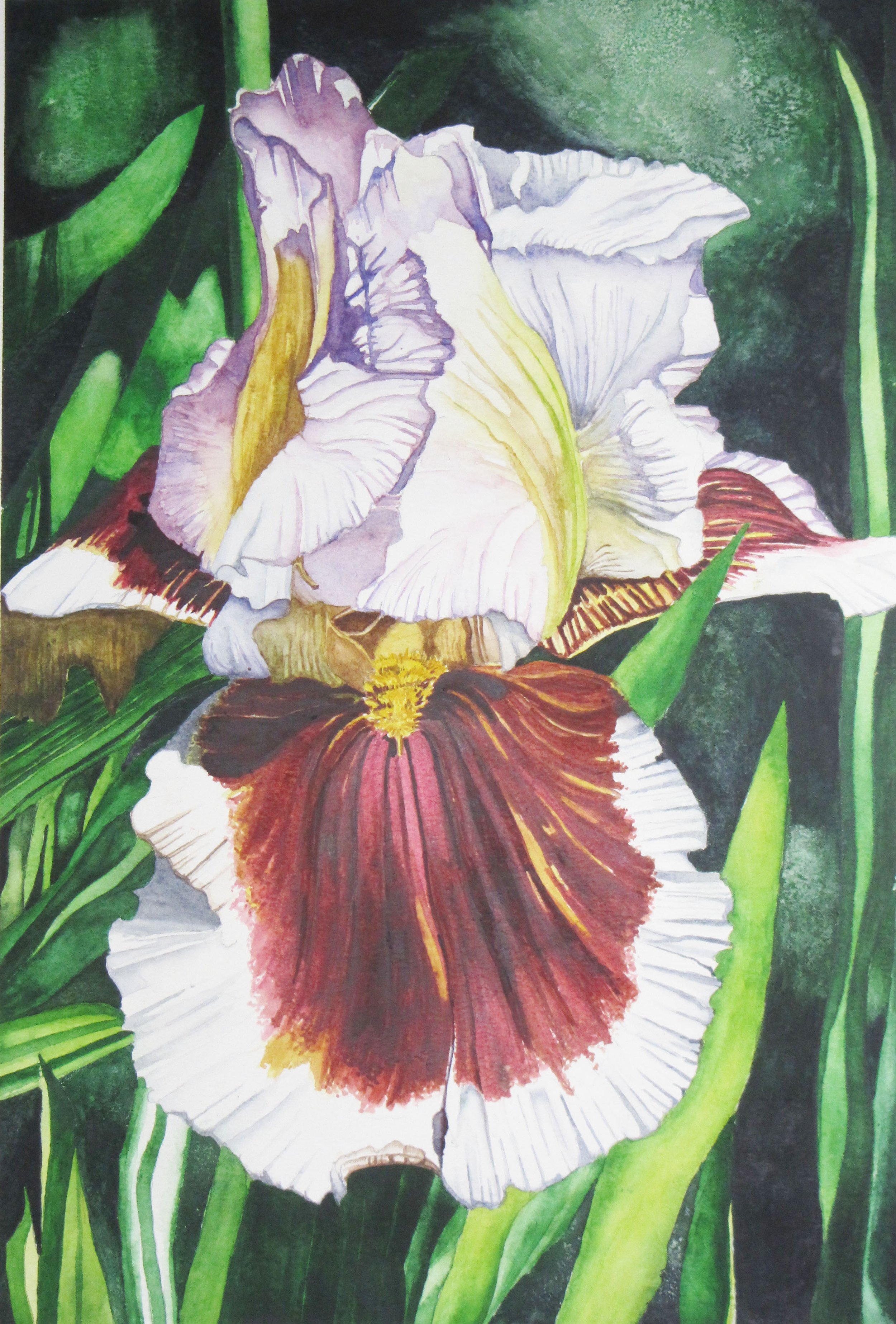 Richard Reed Studios