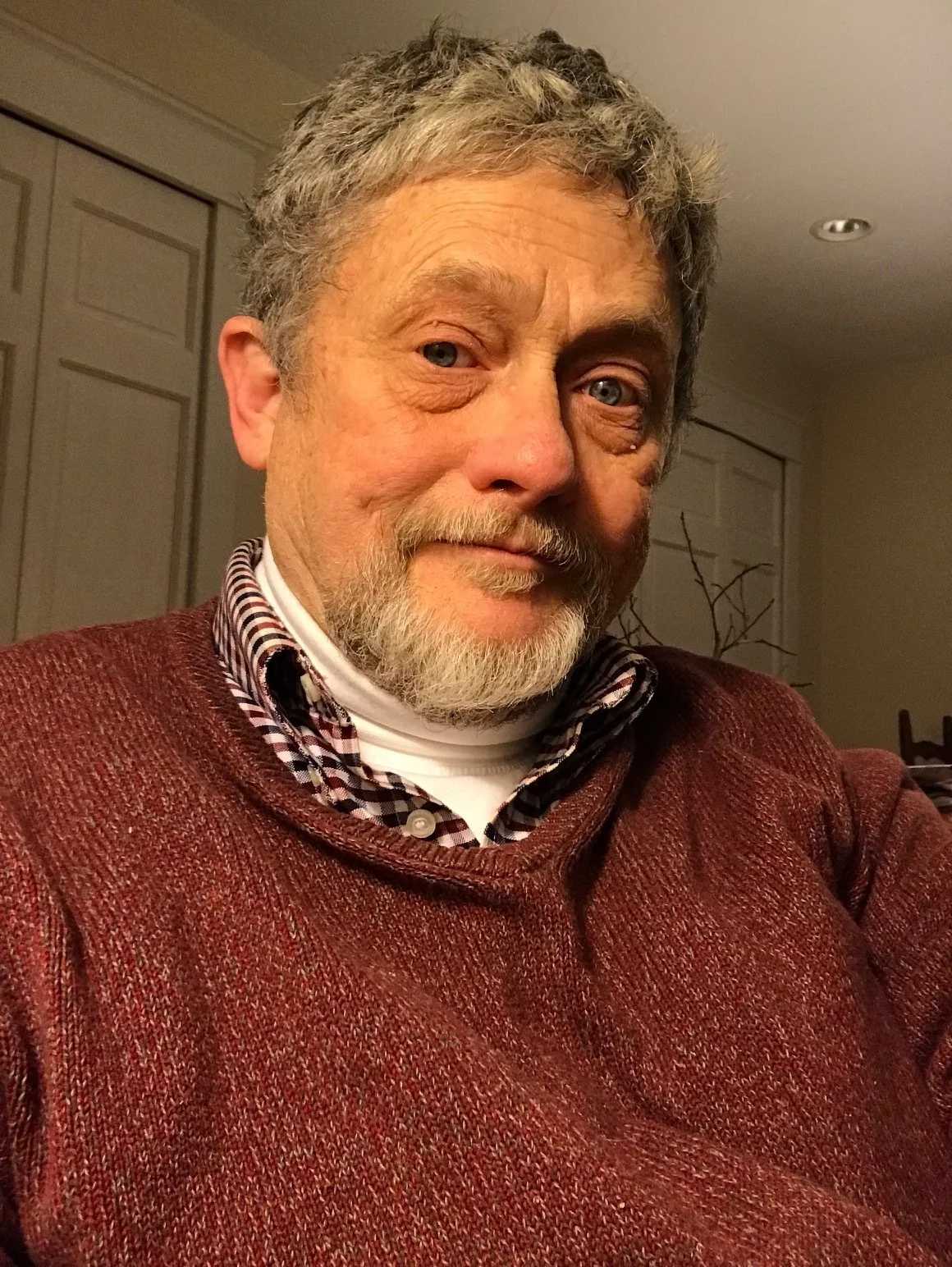 About the ECDP — Emmet Democrats