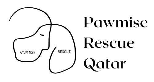 vet clinics — Pawmise Rescue Qatar