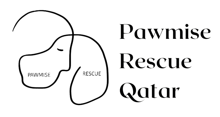 Pawmise Rescue Qatar