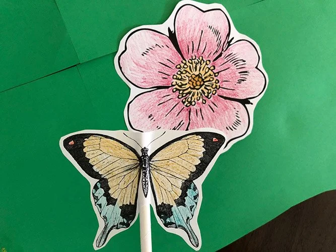 Combining Art and Math: Creating a Symmetry Garden — Innate Press®