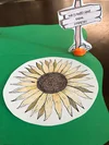 Combining Art and Math: Creating a Symmetry Garden — Innate Press®
