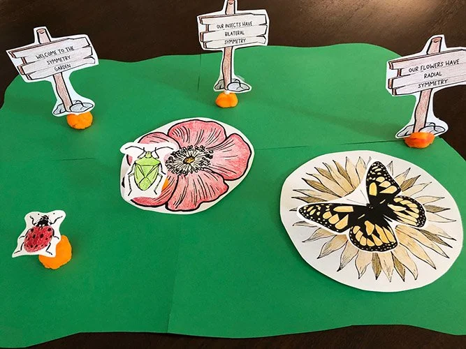 Combining Art and Math: Creating a Symmetry Garden — Innate Press®