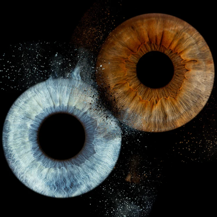 Tarifs et effets iris photos Haut Rhin — Iris Photographies