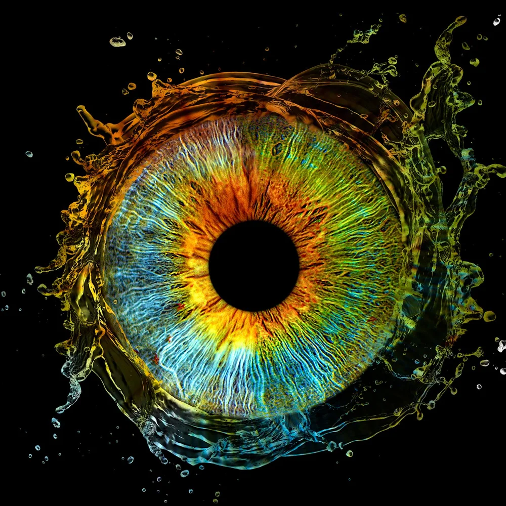 Tarifs et effets iris photos Haut Rhin — Iris Photographies