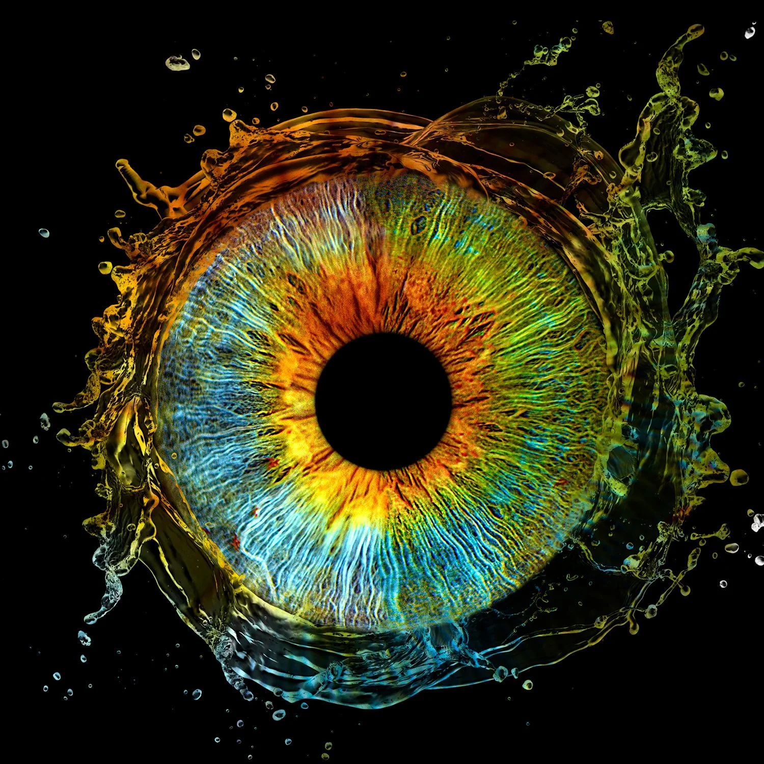 Tarifs et effets iris photos Haut Rhin — Iris Photographies