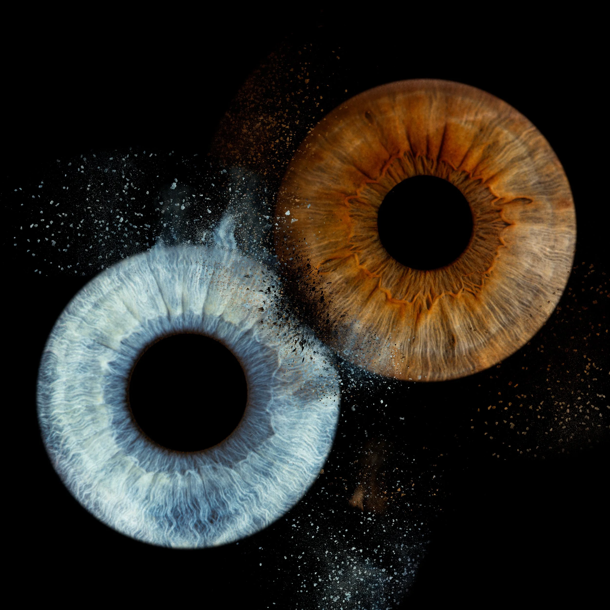 Effet Circle Photo Iris — Iris Photographies