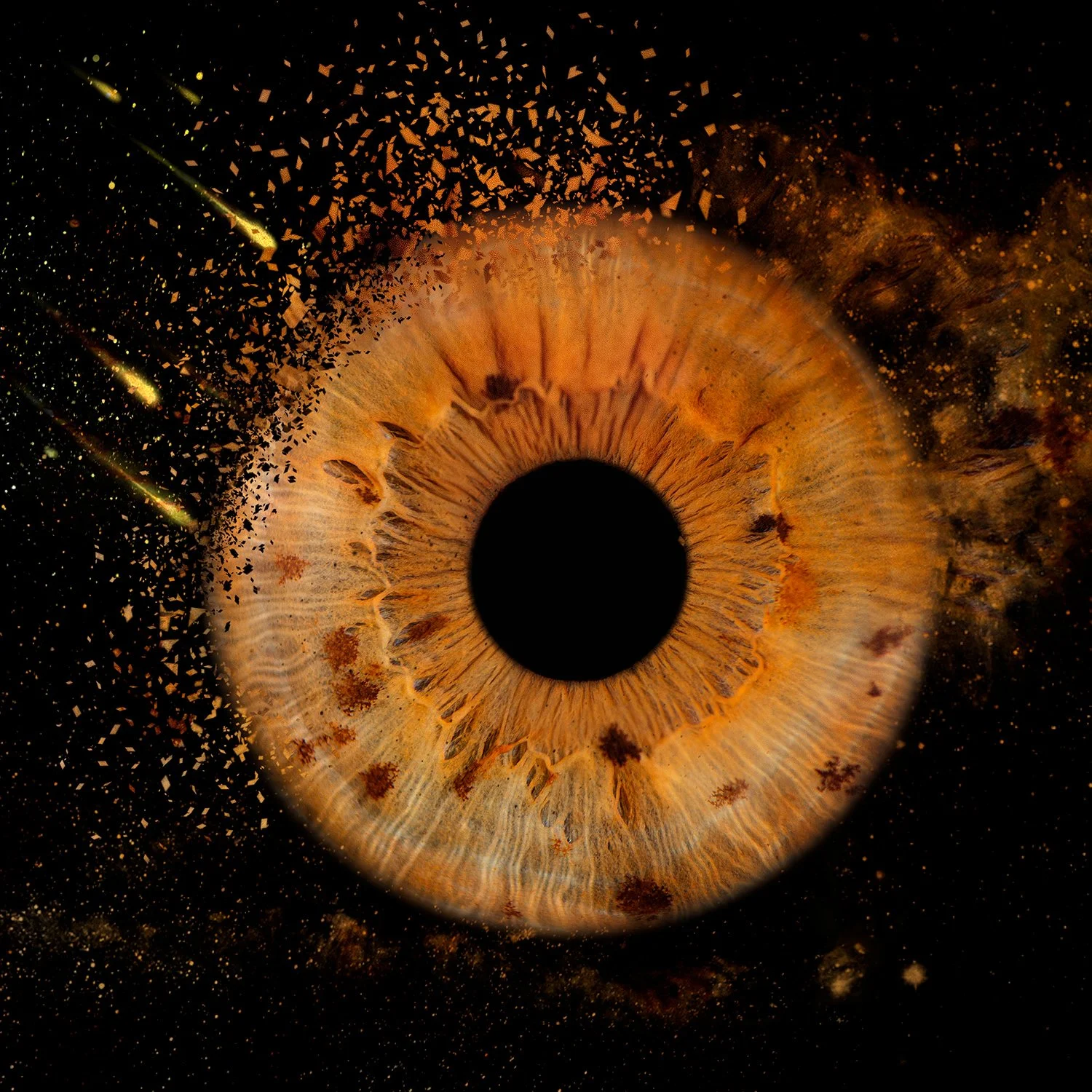 Tarifs et effets iris photos Haut Rhin — Iris Photographies