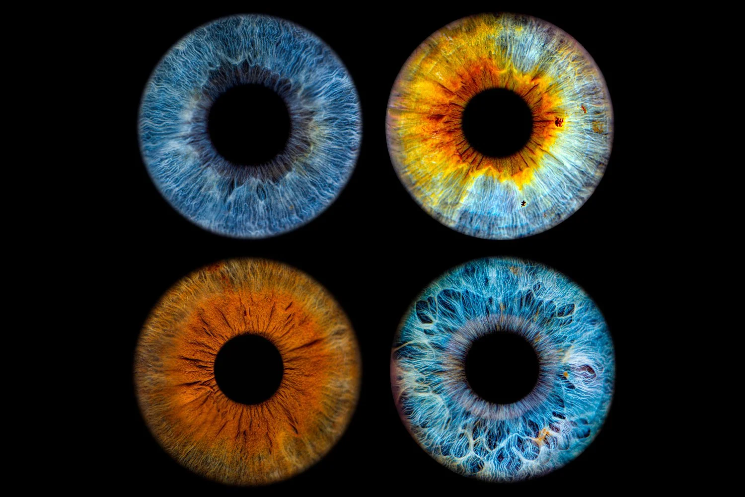 Tarifs et effets iris photos Haut Rhin — Iris Photographies