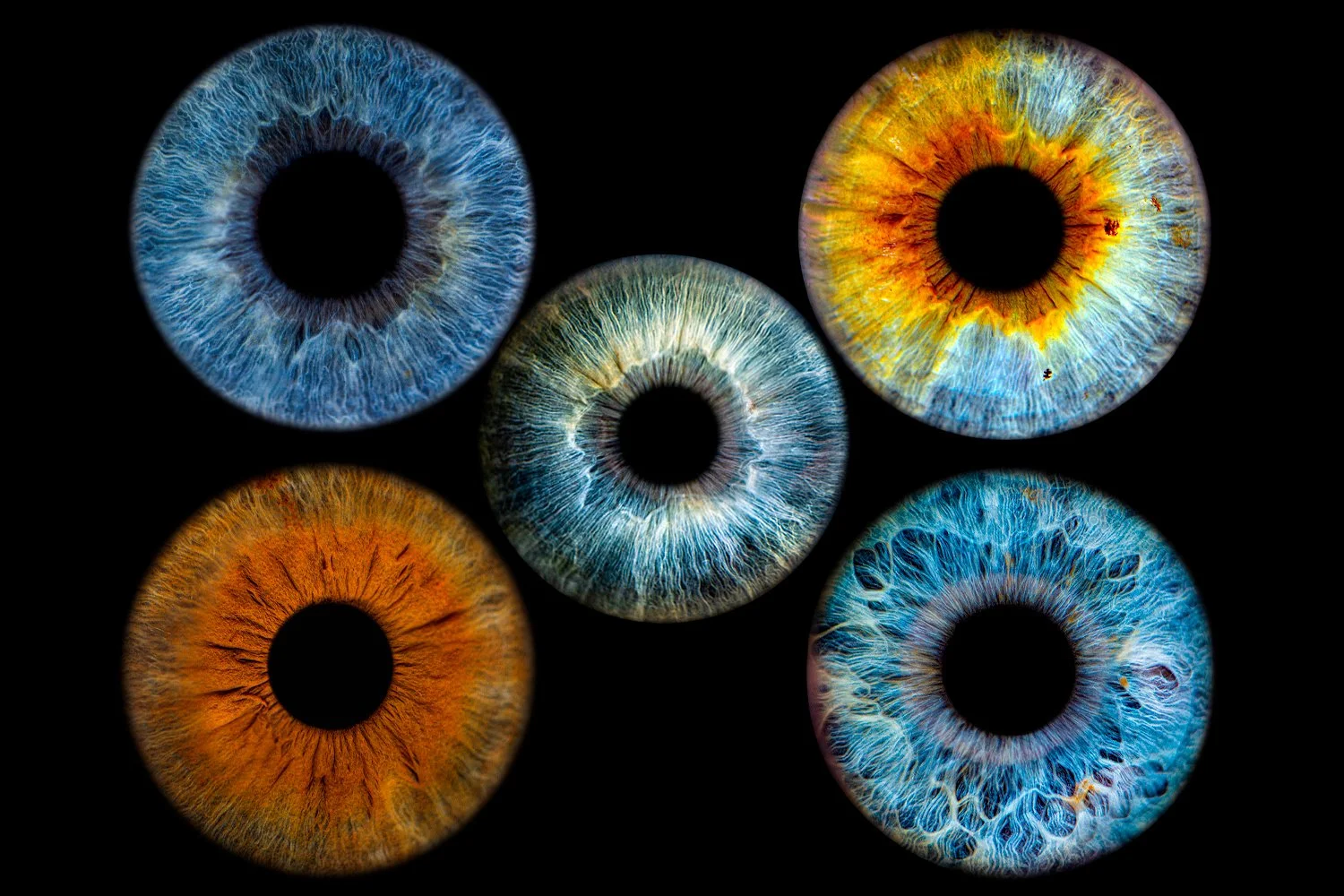Tarifs et effets iris photos Haut Rhin — Iris Photographies