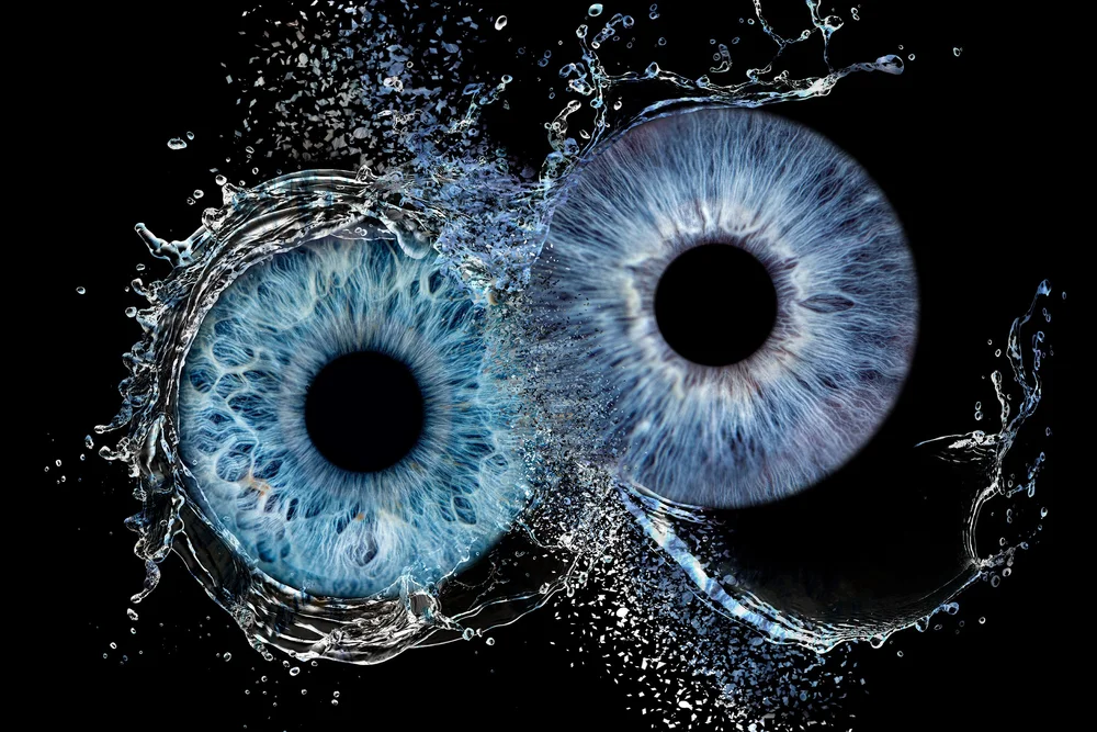 Iris Photographies I Mulhouse Colmar - Haut Rhin