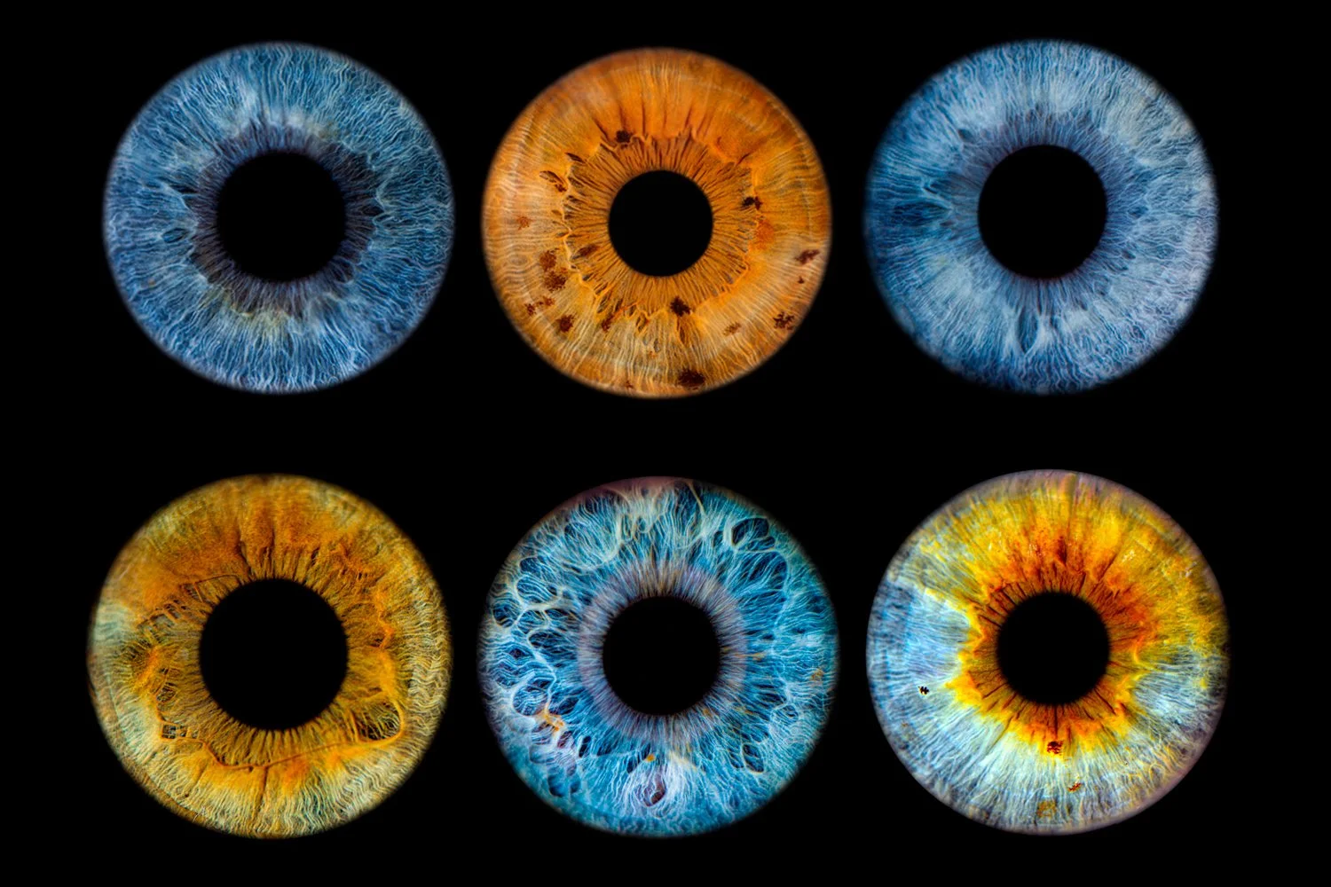 Tarifs et effets iris photos Haut Rhin — Iris Photographies