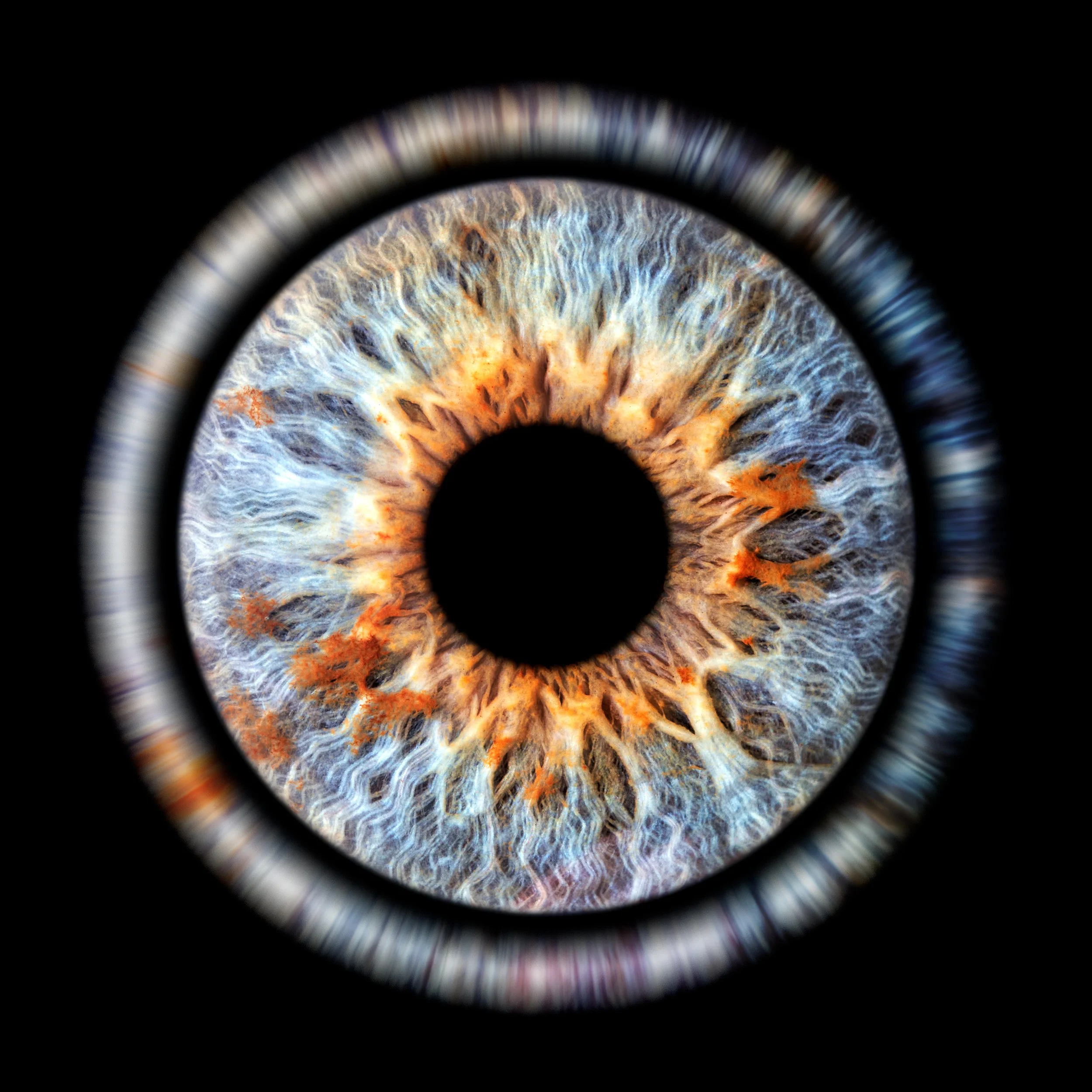 Tarifs et effets iris photos Haut Rhin — Iris Photographies