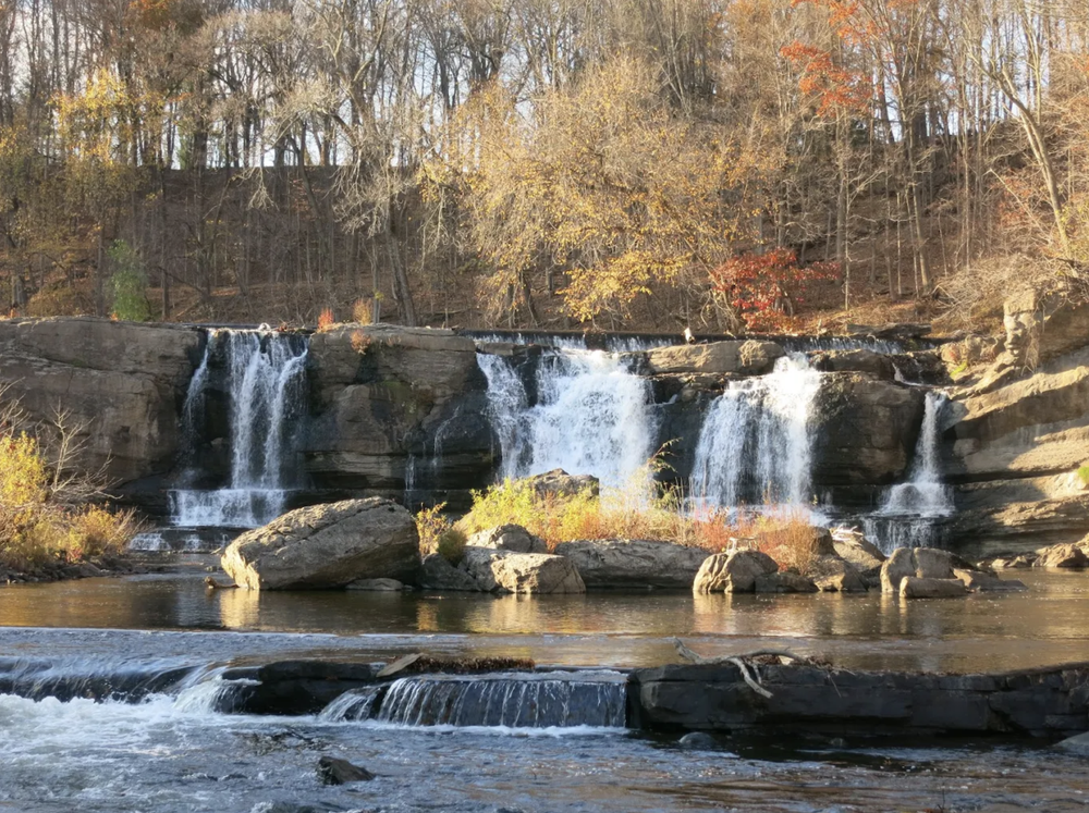Guide to High Falls, NY — agent in the woods.