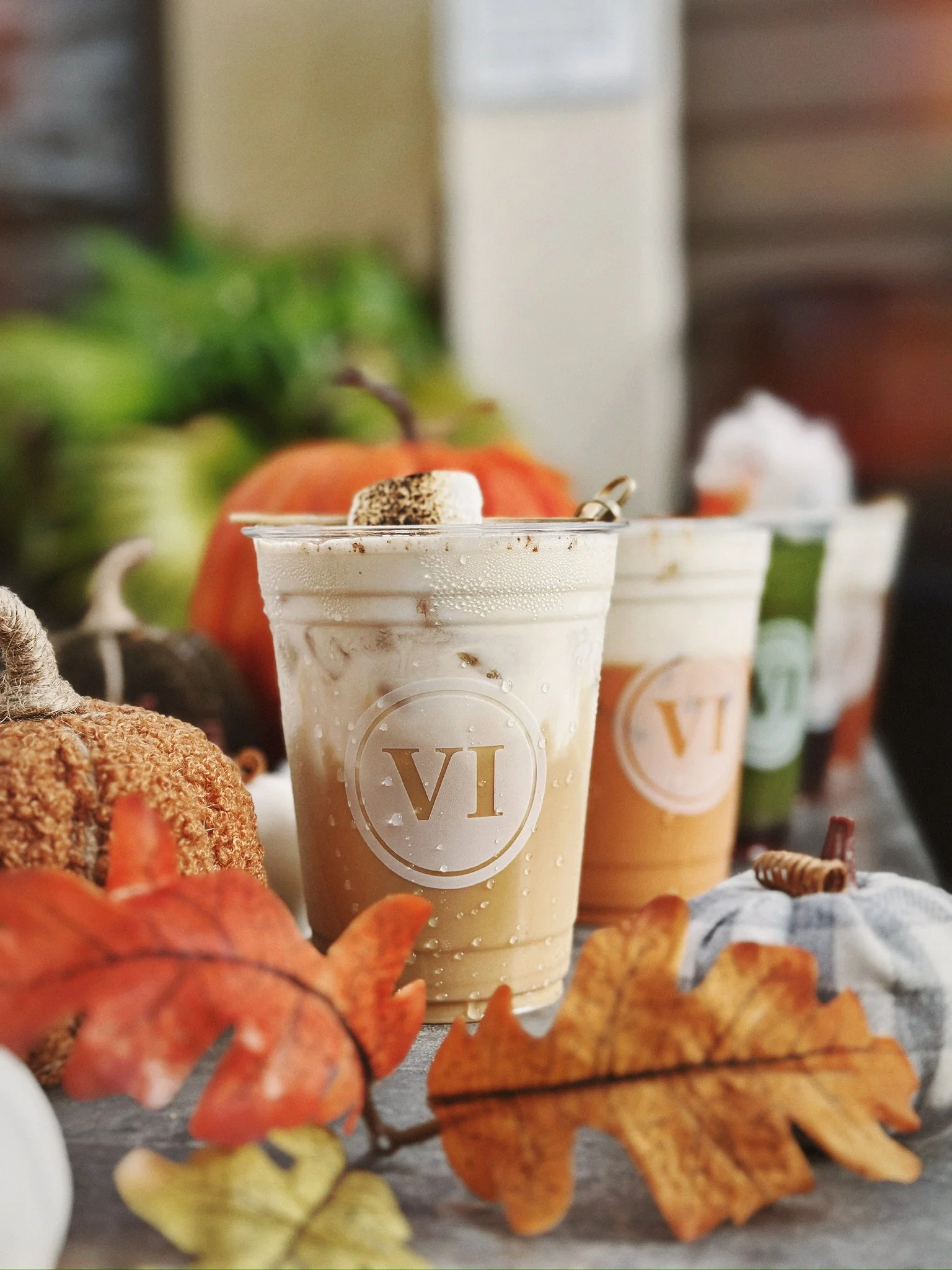 VI Coffee Bar
