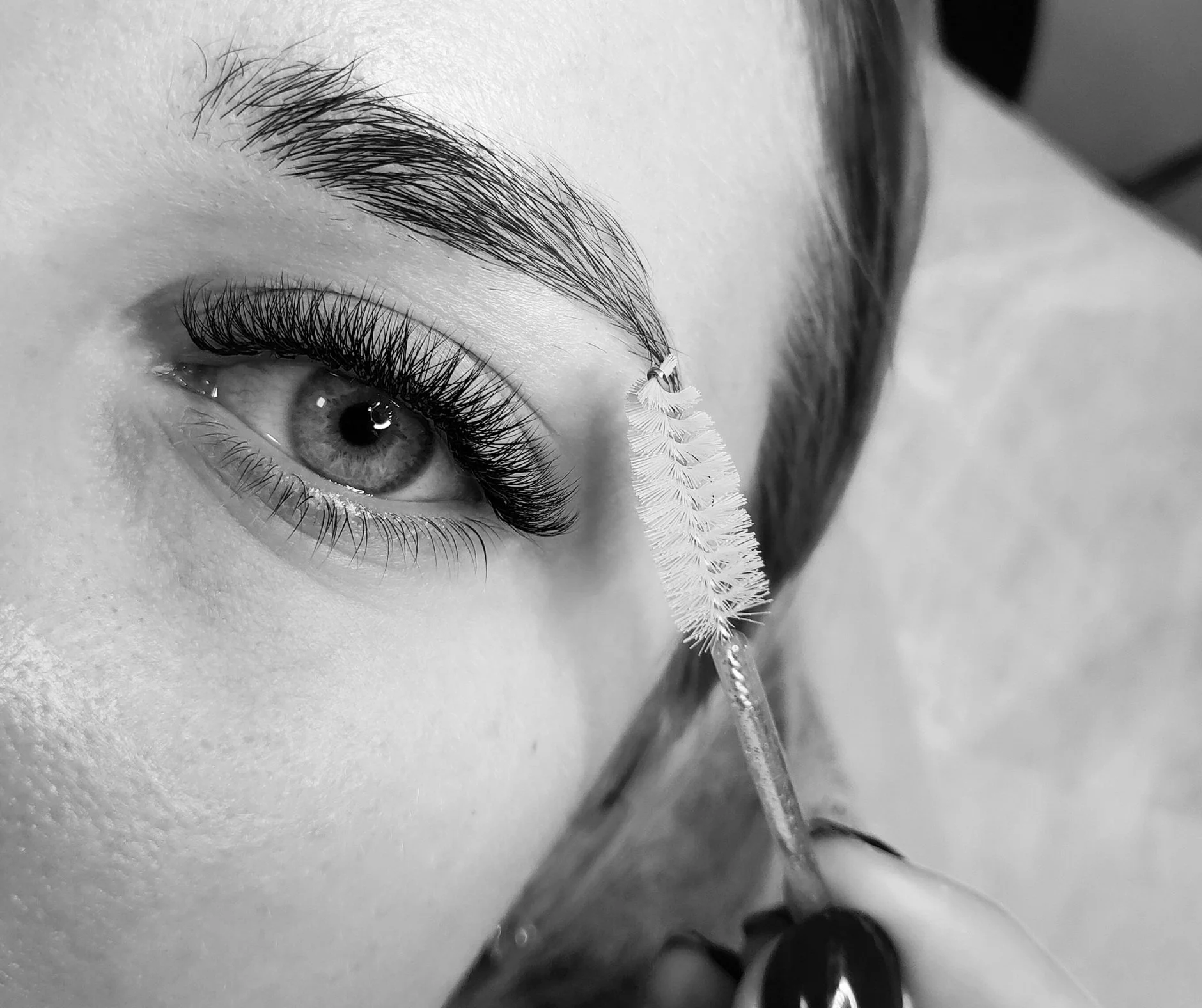 Brow Services — The Lash & Brow Company