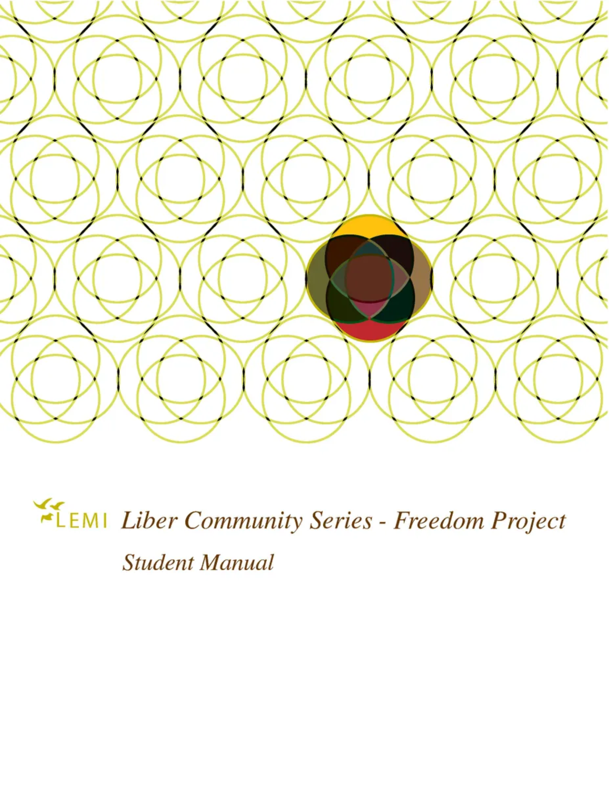 The Freedom Project — Leadership Education Mentoring Institute