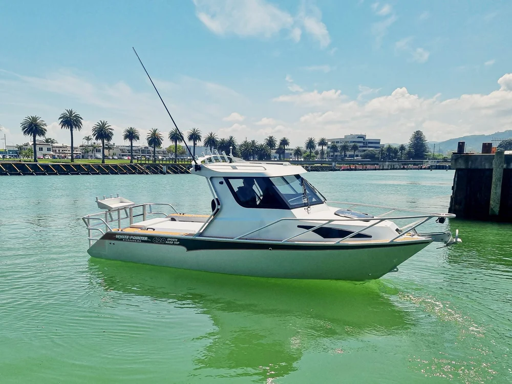 620 Sports Hardtop aluminium fishing boat custom built by White Pointer ...
