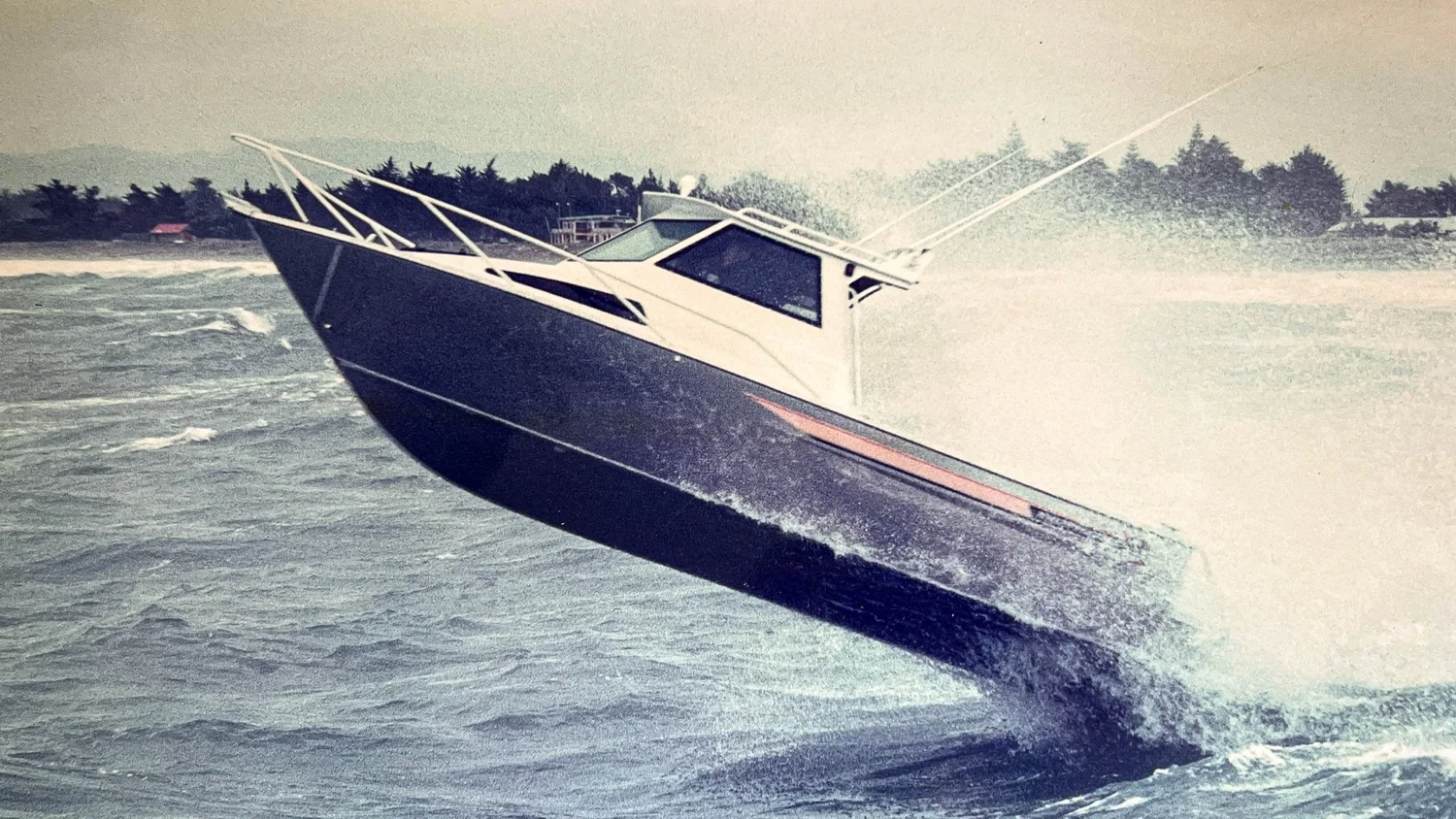 About White Pointer Boats