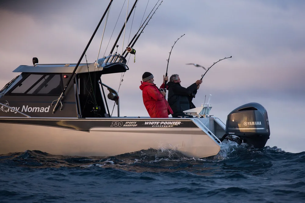 About White Pointer Boats