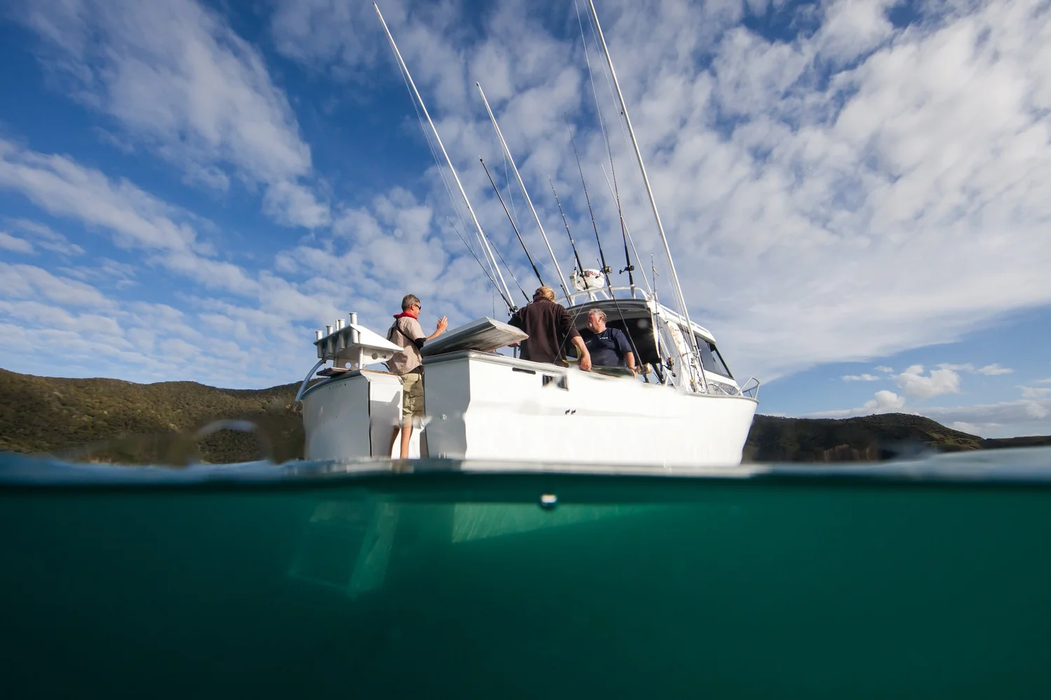 White Pointer Social Media