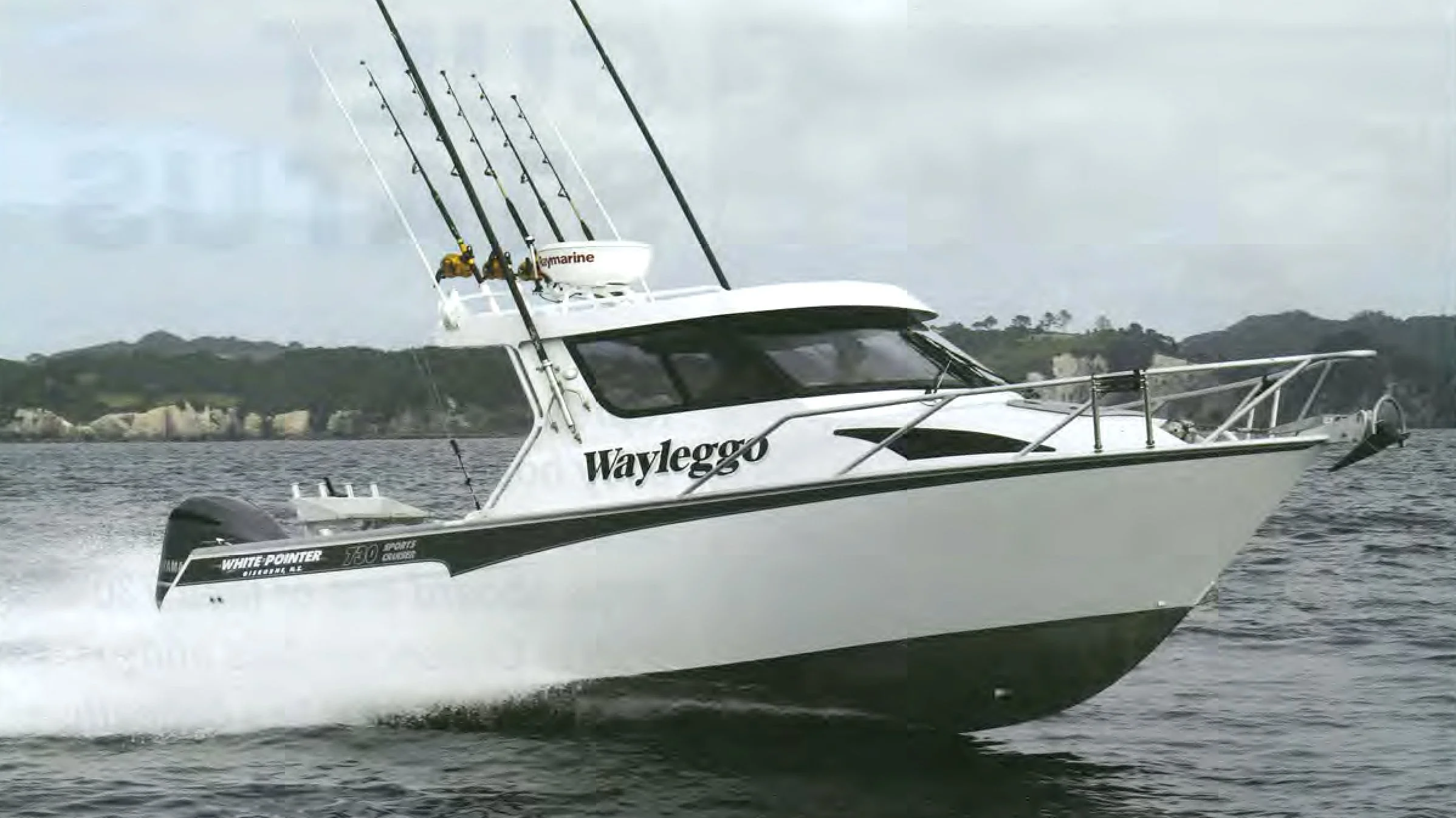 White Pointer Boat Reviews