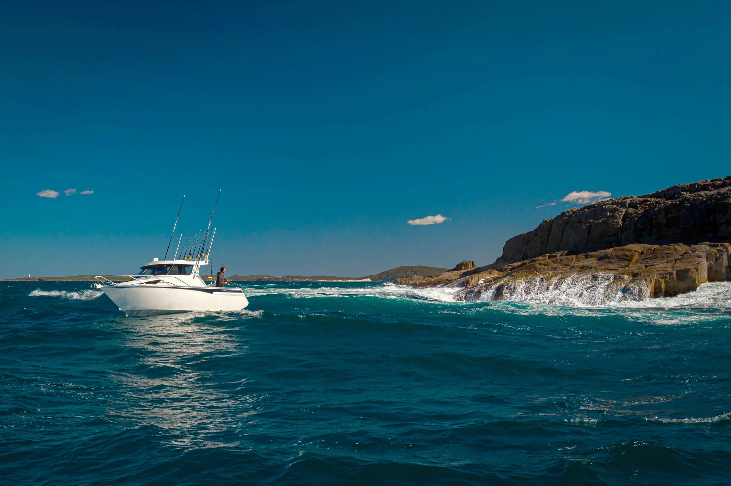 The White Pointer Team