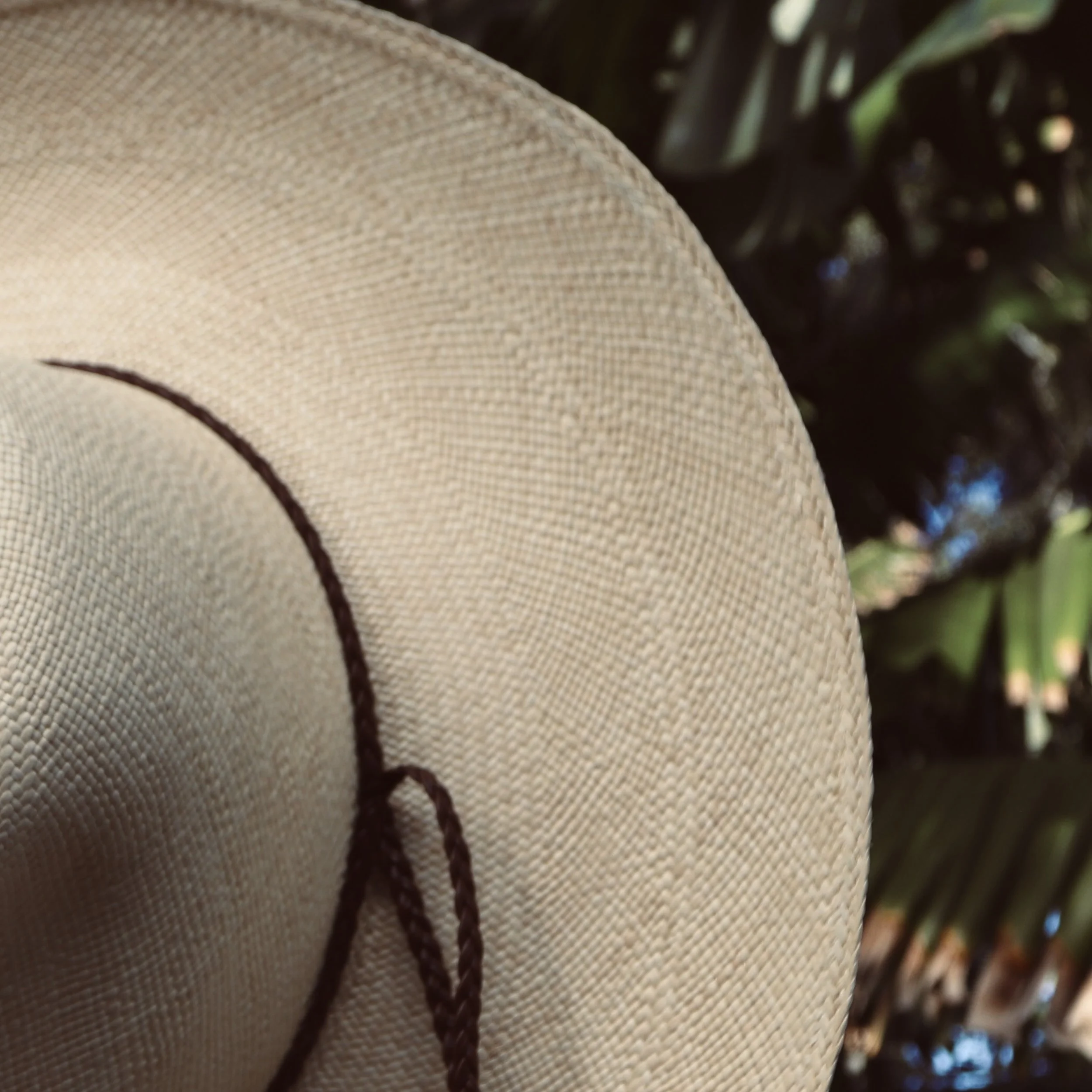 Shop All Hats — Fear Not Hats | Premium Hats for Women
