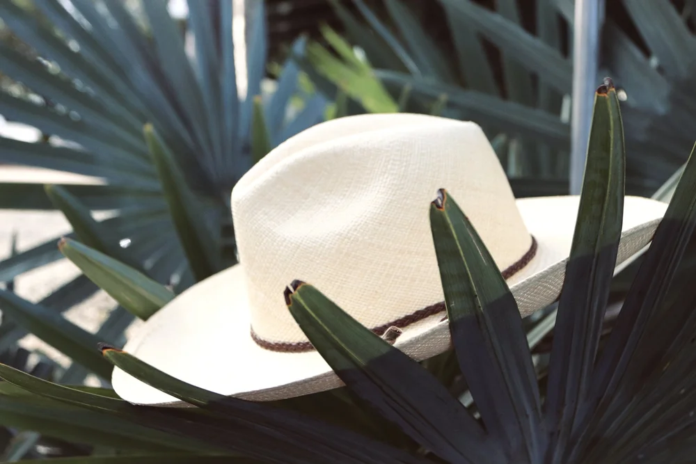 Shop All Hats — Fear Not Hats | Premium Hats for Women