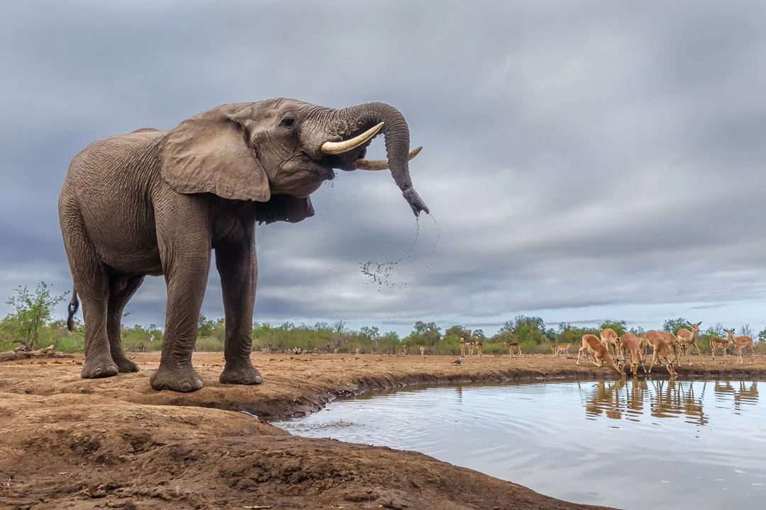 Portfolio — Rob Weir Photography: Landscape and wildlife photography
