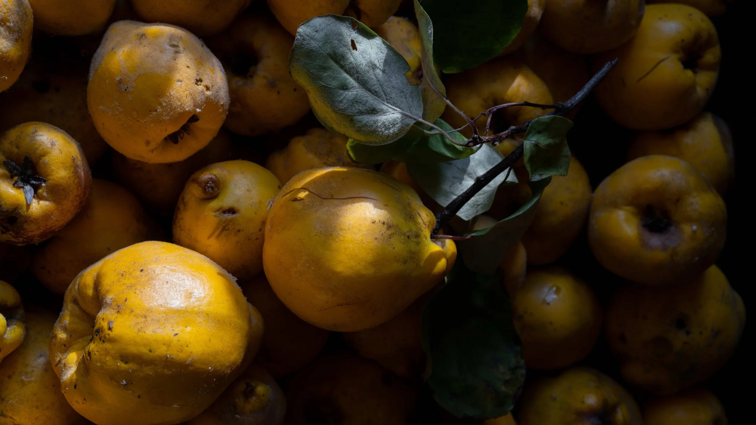 Recipes — JULIUS ROBERTS